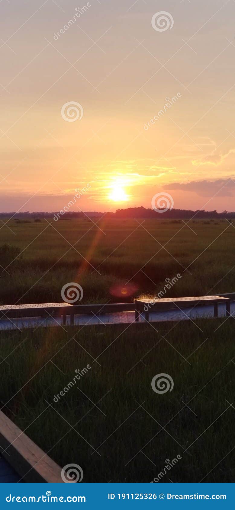 Sunset over the marsh stock photo. Image of darkness - 191125326