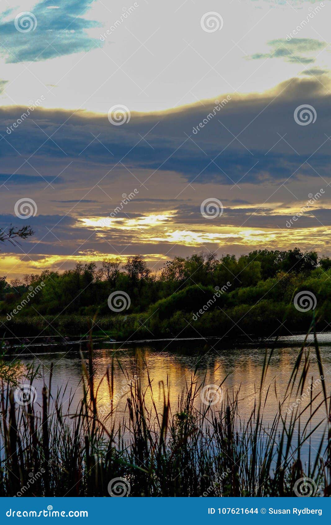 Sunset over a marsh land stock photo. Image of fall - 107621644