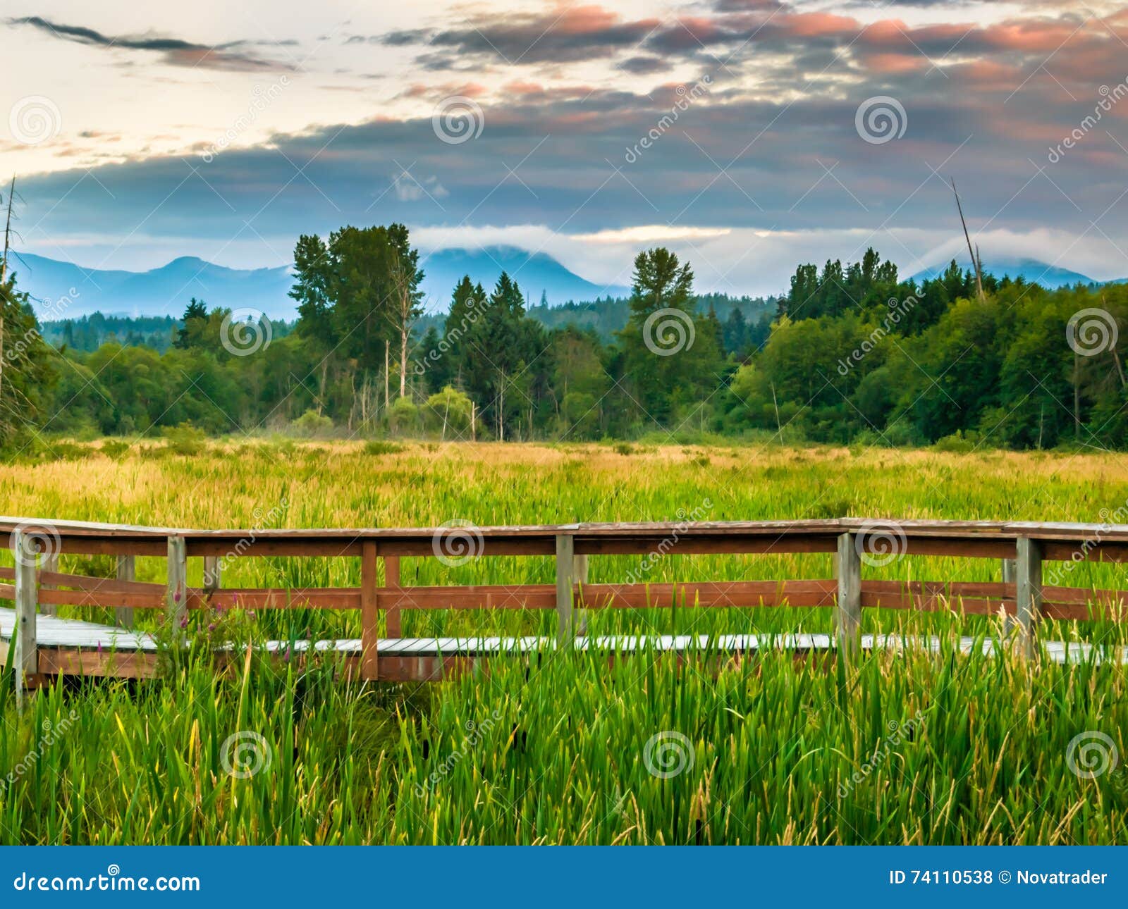 A Sunset Over a Marsh and Pathway Stock Photo - Image of evening, dusk ...