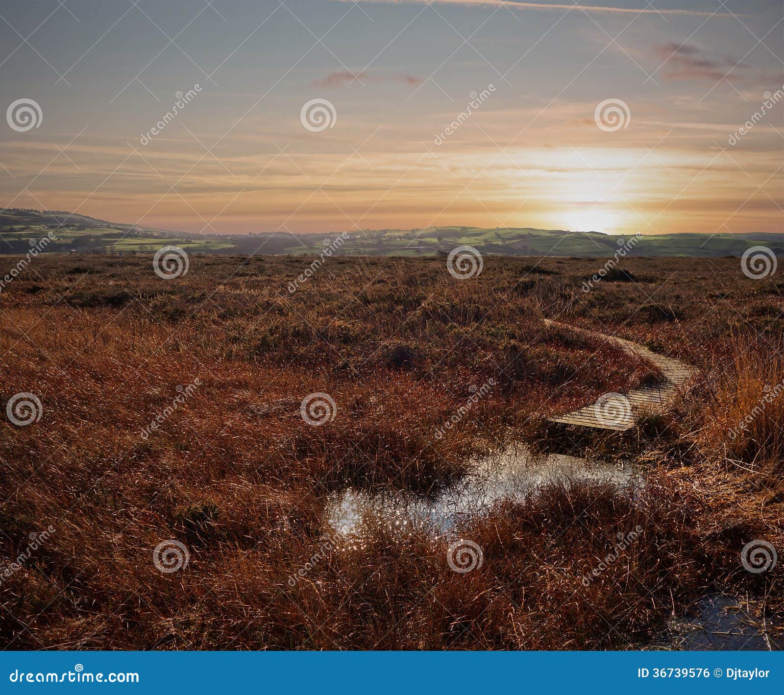 Sunset over Marshland stock photo. Image of morning, dusk - 36739576