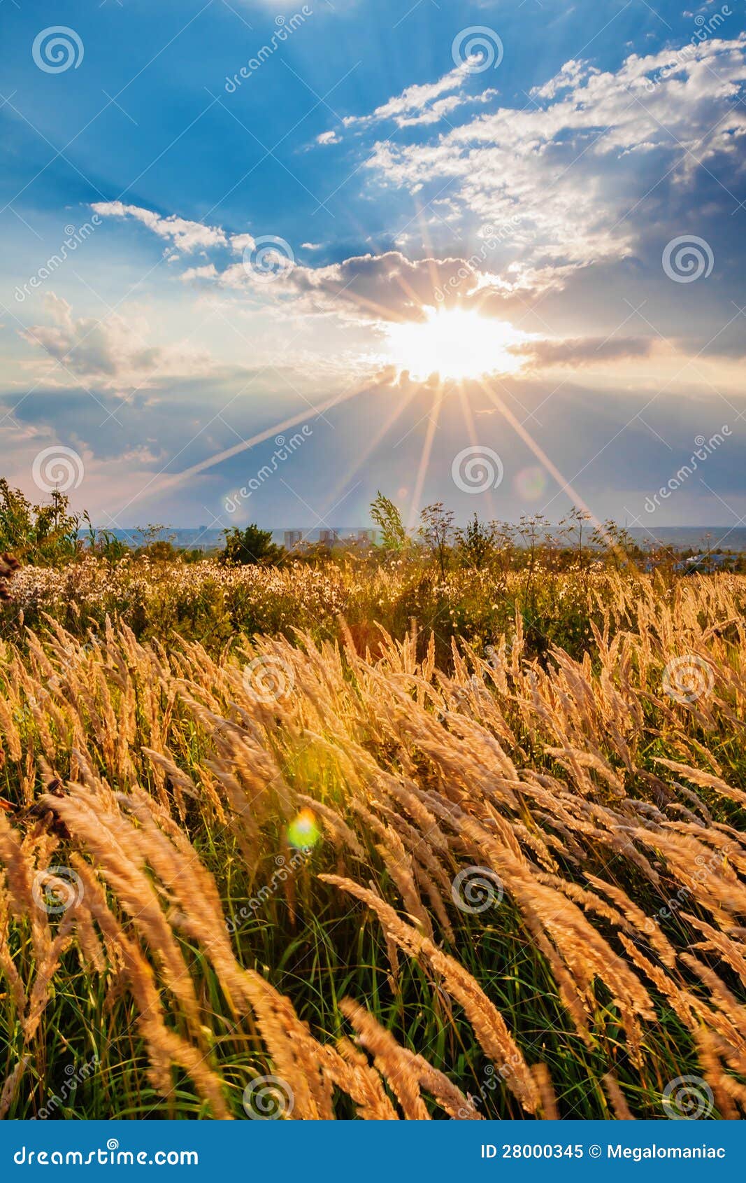 Sunset over a meadow stock image. Image of outdoor, countryside - 28000345