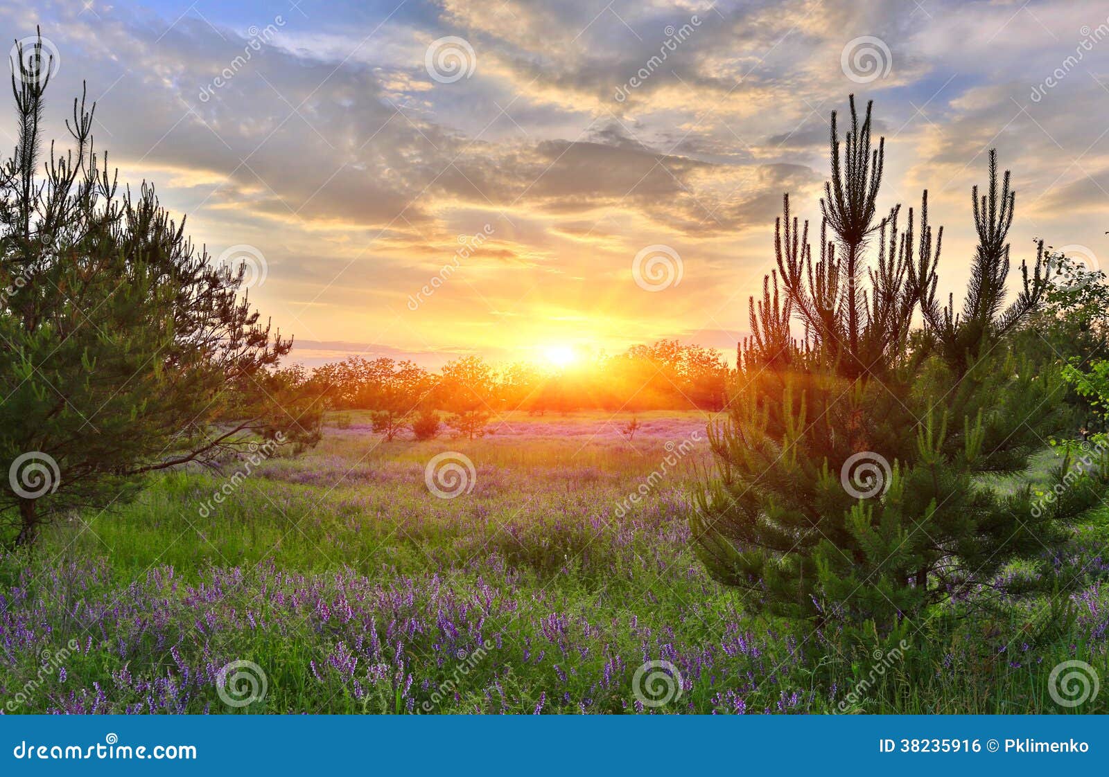 Sunset over meadow stock photo. Image of blue, outdoor - 38235916
