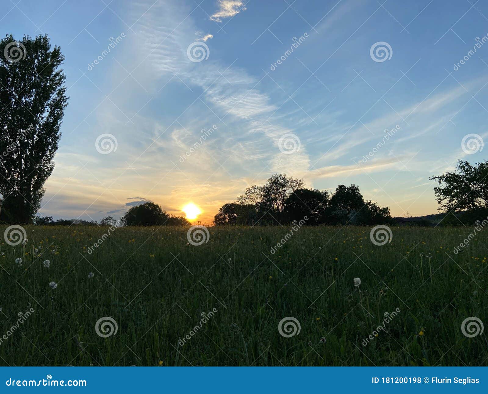 Sunset over a meadow stock photo. Image of nature, light - 181200198