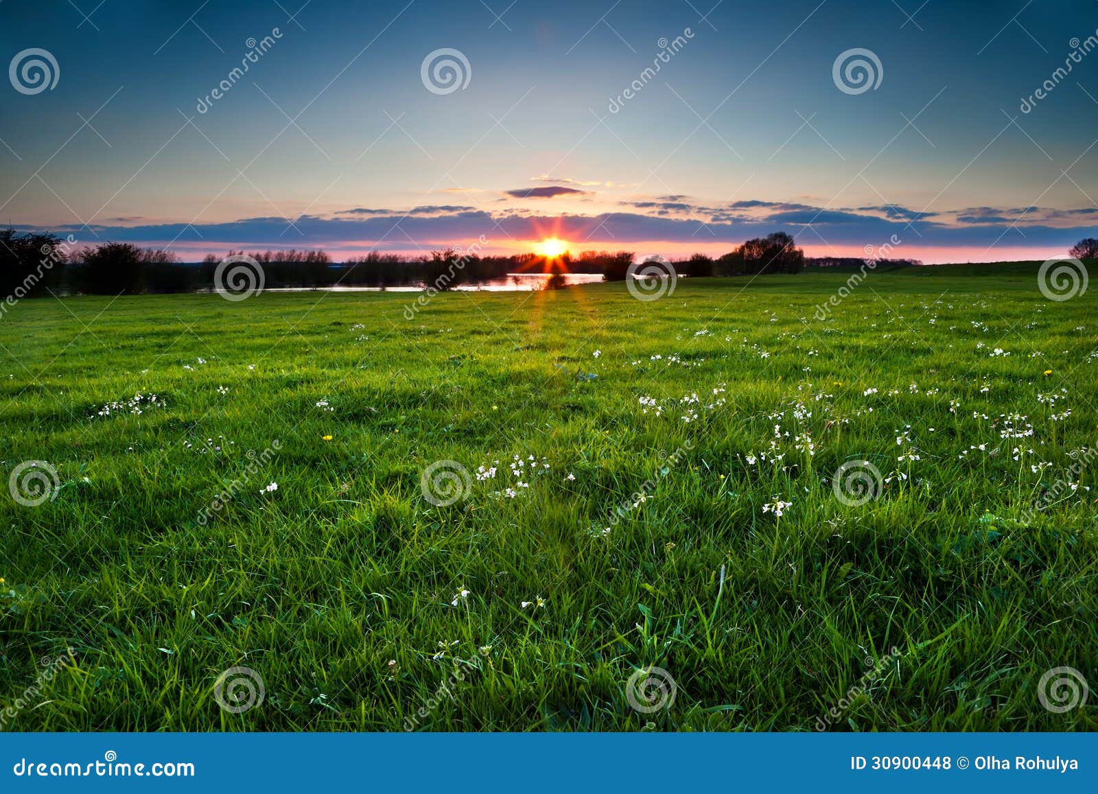 Sunset Over Meadow with Spring Wildflowers Stock Photo - Image of green ...