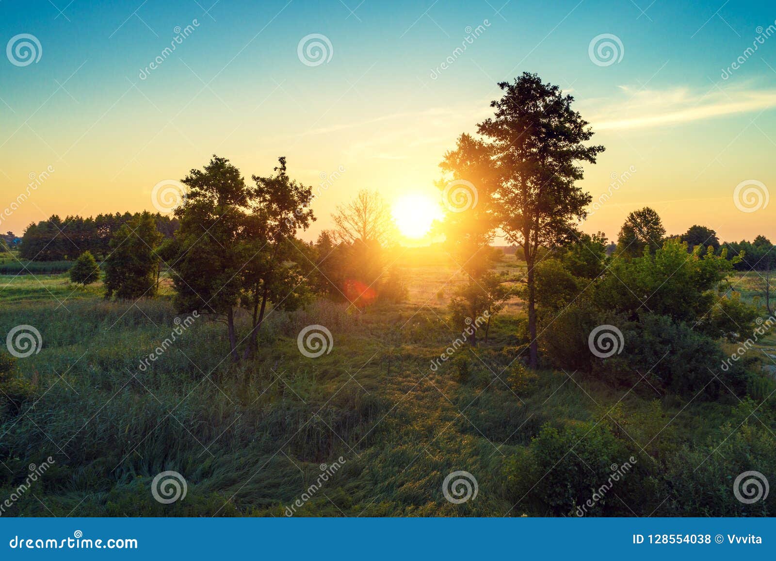 Sunset Over the Meadow with Trees Stock Photo - Image of lawn, outdoor ...