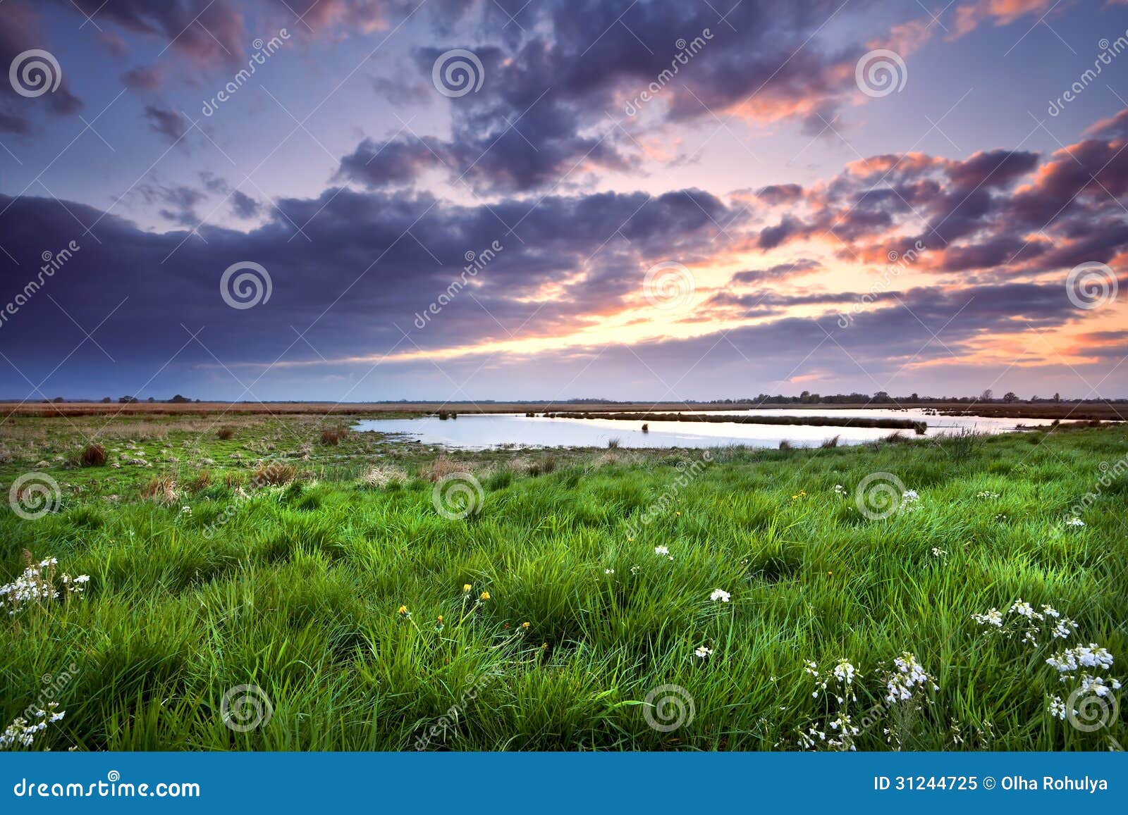 Sunset Over Meadow with Wildflowers Stock Image - Image of season ...