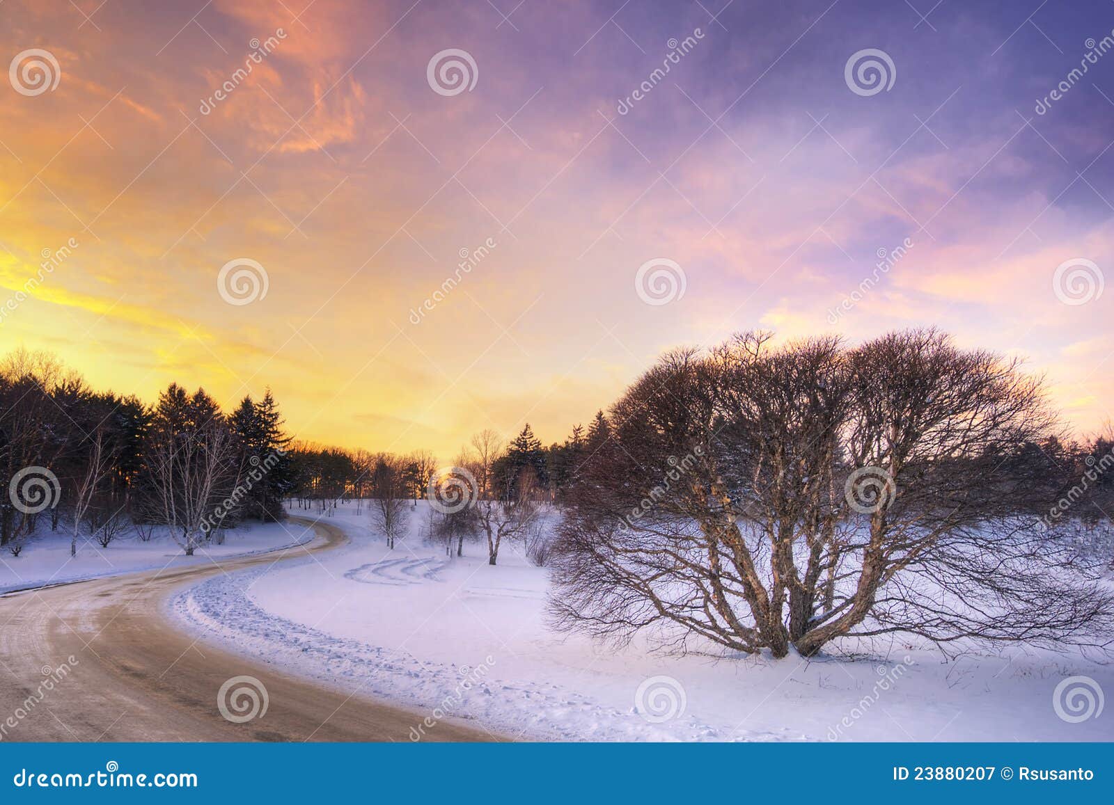 Sunset Over a Midwest Prairie Stock Image - Image of woods, hour: 23880207