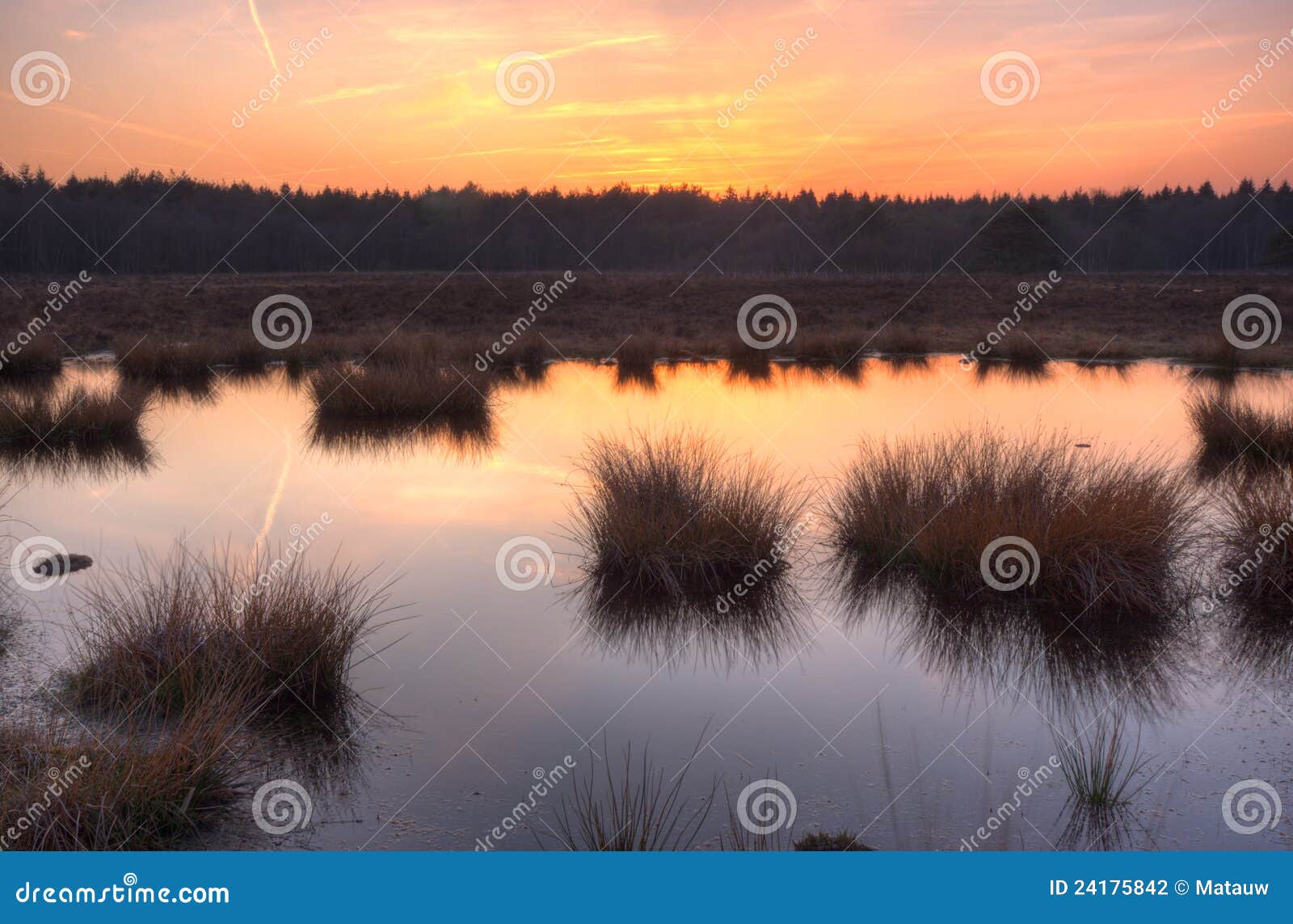 Sunset over a moor stock photo. Image of purple, puddle - 24175842