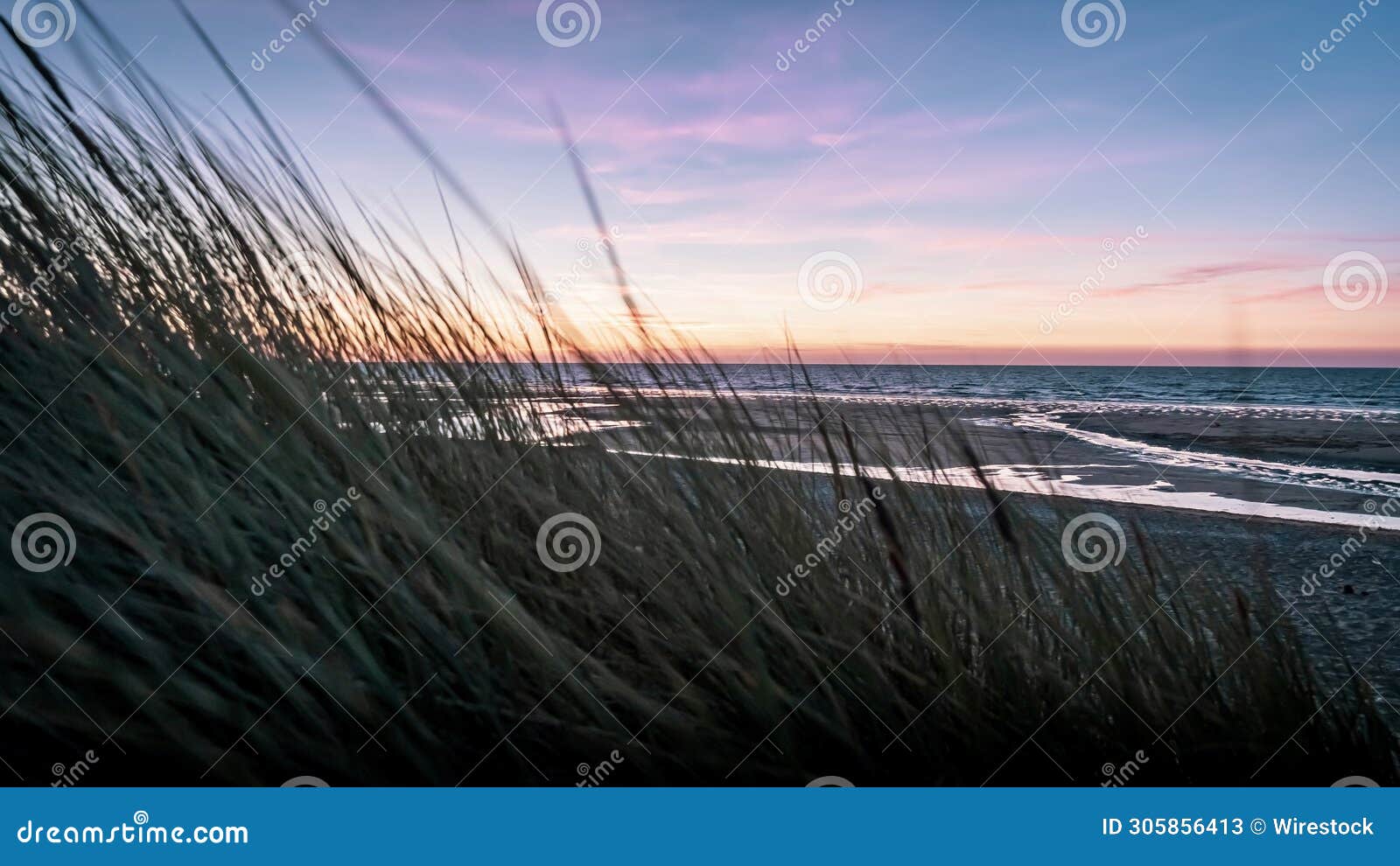 Sunset Over Ocean with Tall Grass Editorial Stock Photo - Image of ...