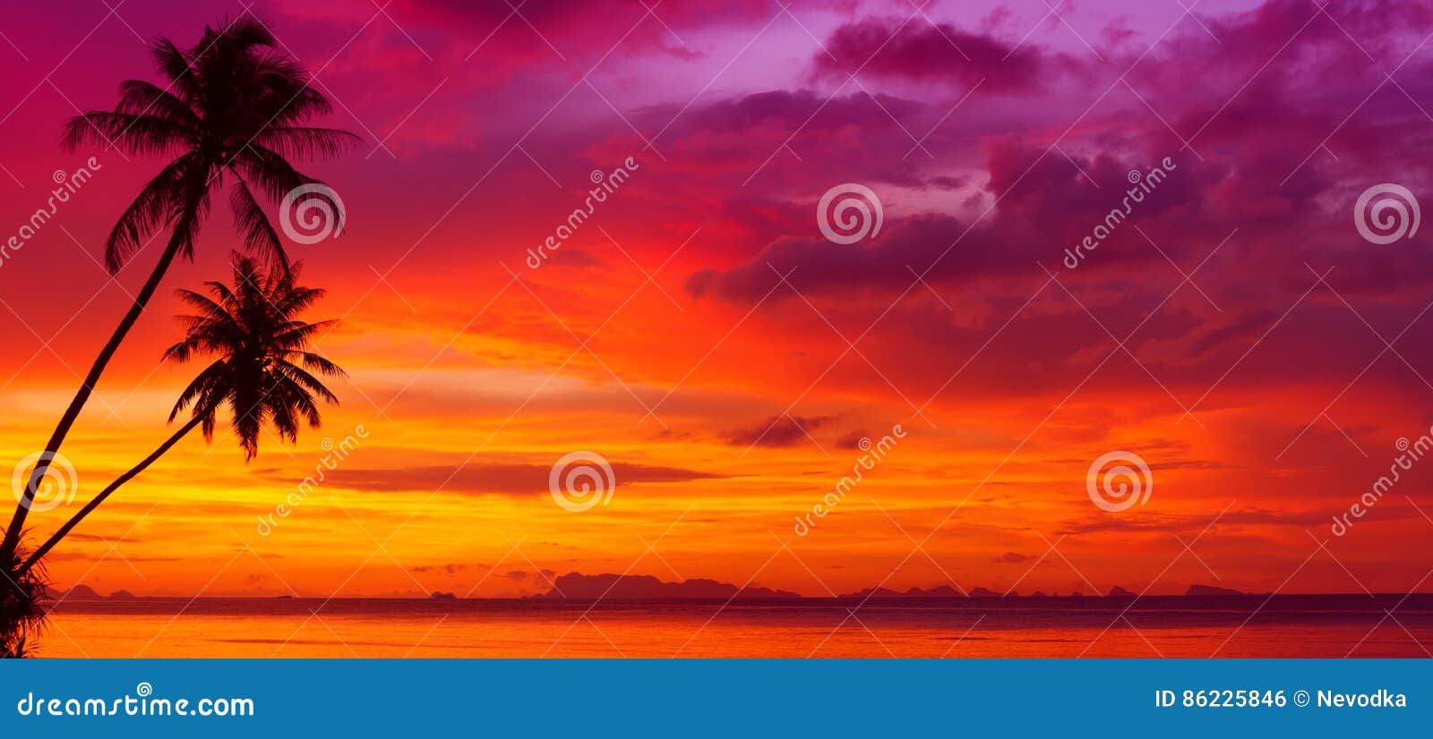 Sunset Over the Ocean with Tropical Palm Trees Stock Photo - Image of ...