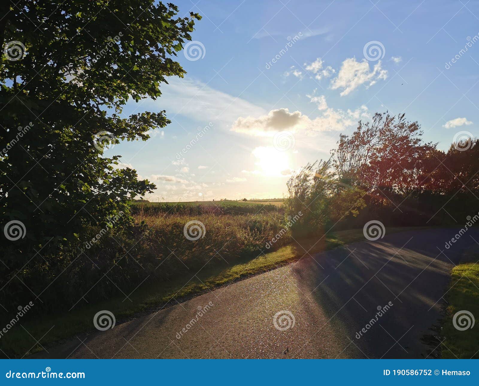 Sunset over an open field stock photo. Image of dark - 190586752
