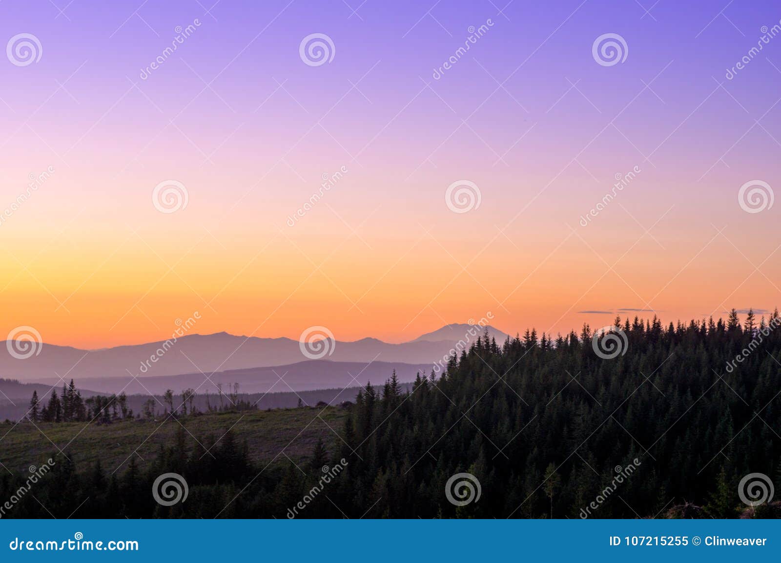 Sunset Over the Oregon Pine Forests Stock Image - Image of scenery ...