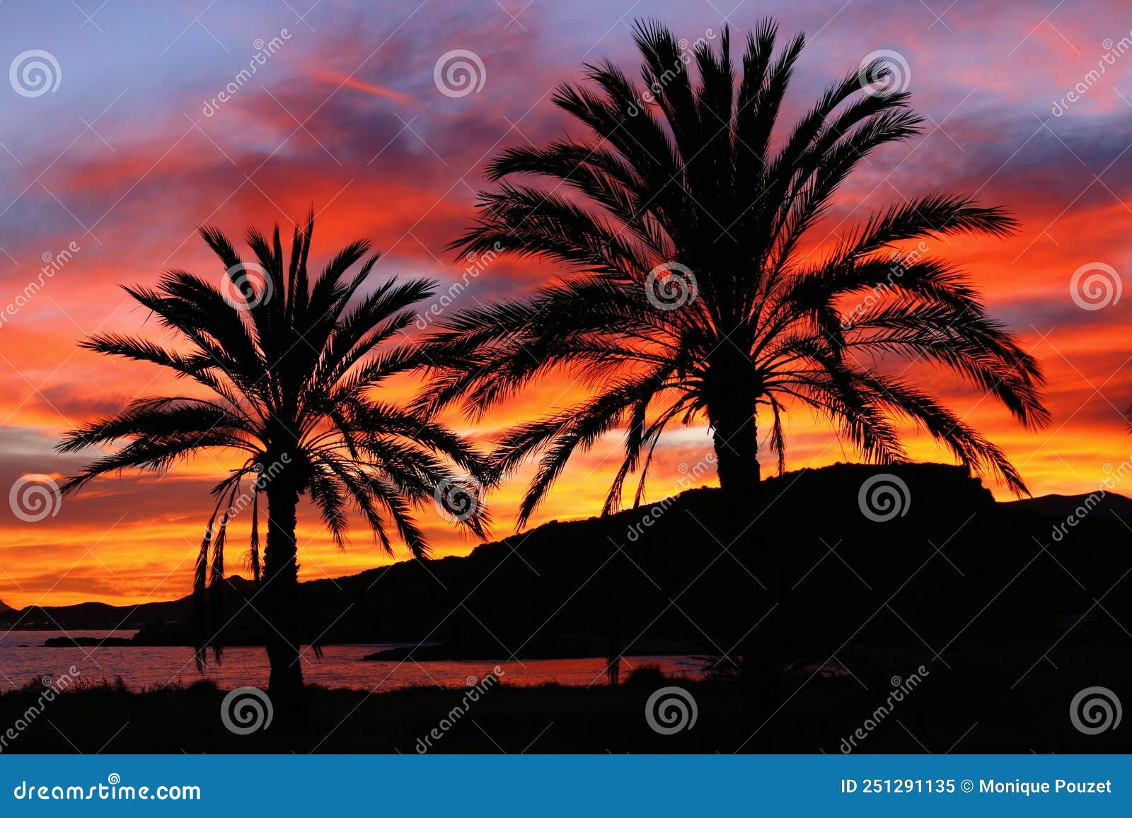 A sunset over palm trees stock image. Image of dusk - 251291135