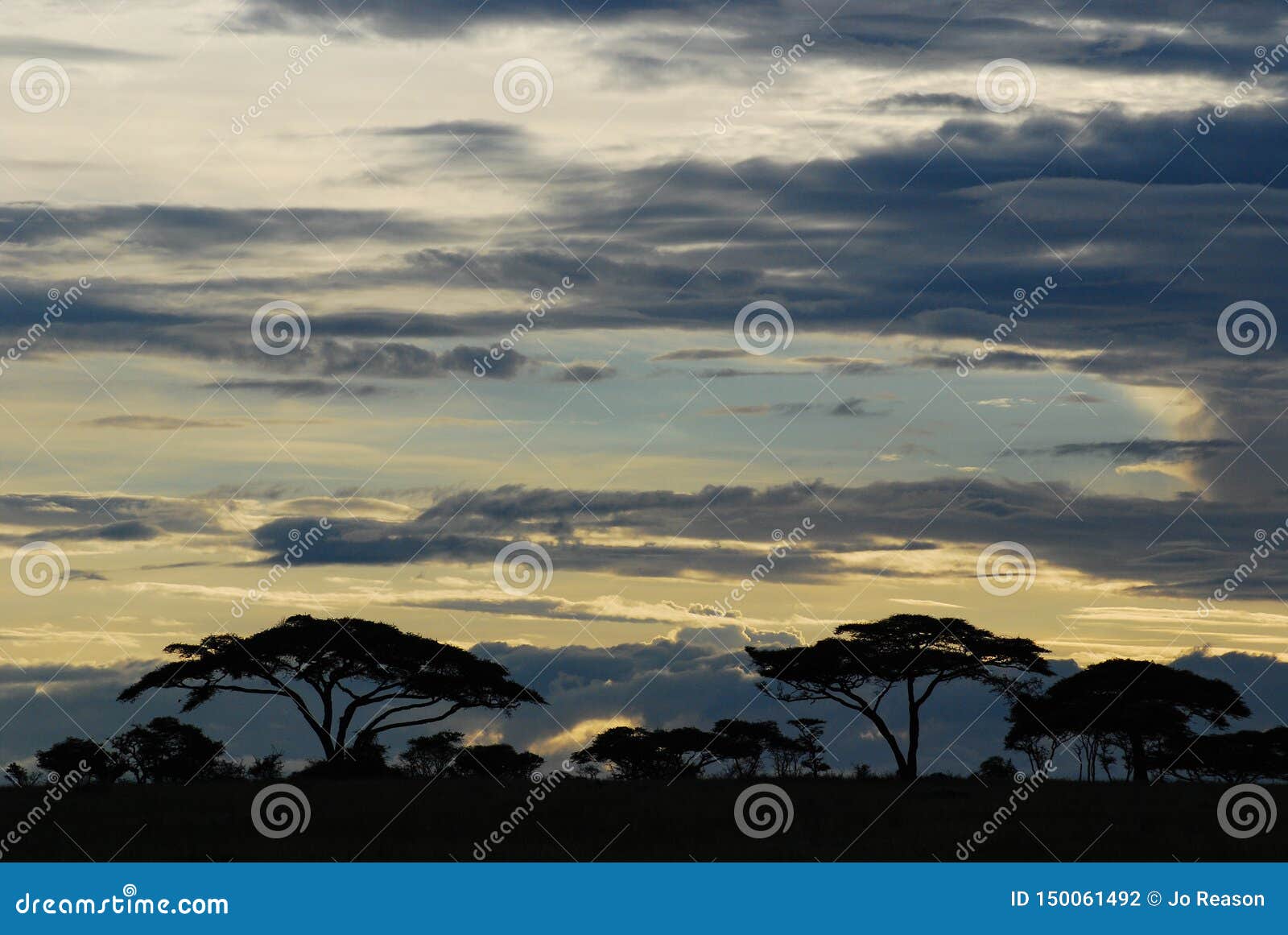 Sunset Over the Plains of Africa Editorial Photography - Image of ...