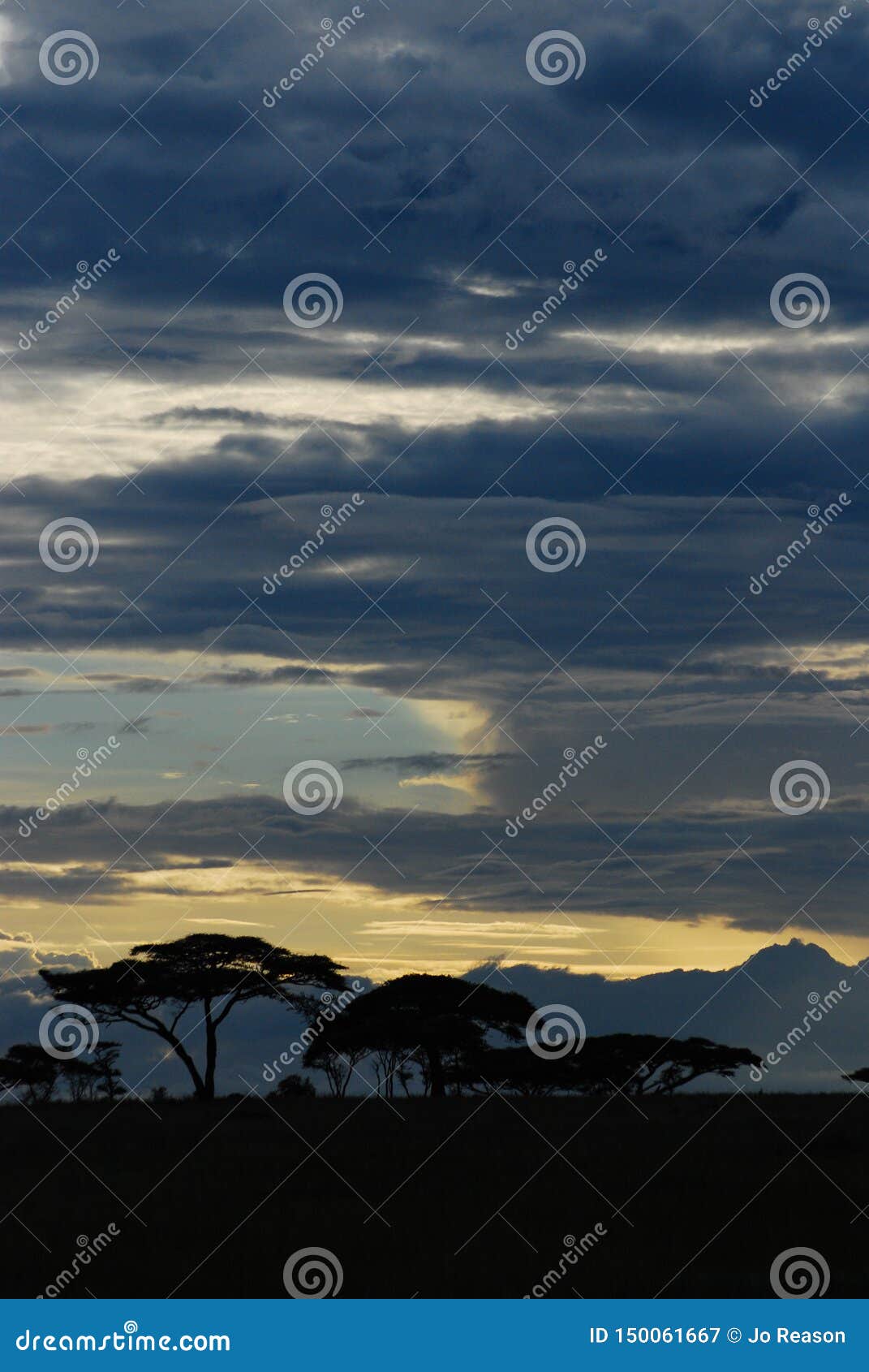 Sunset Over the Plains of Africa Editorial Photography - Image of ...