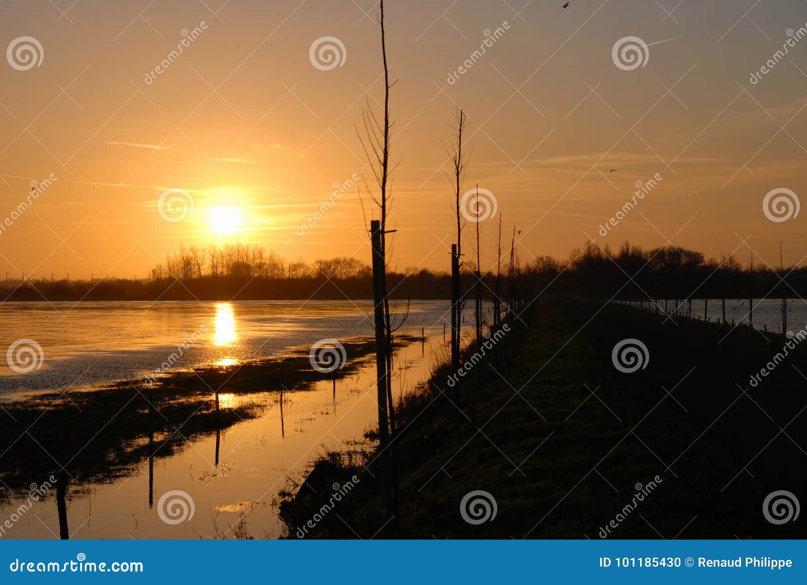 Sunset over the pond stock photo. Image of sunrise, beautiful - 101185430