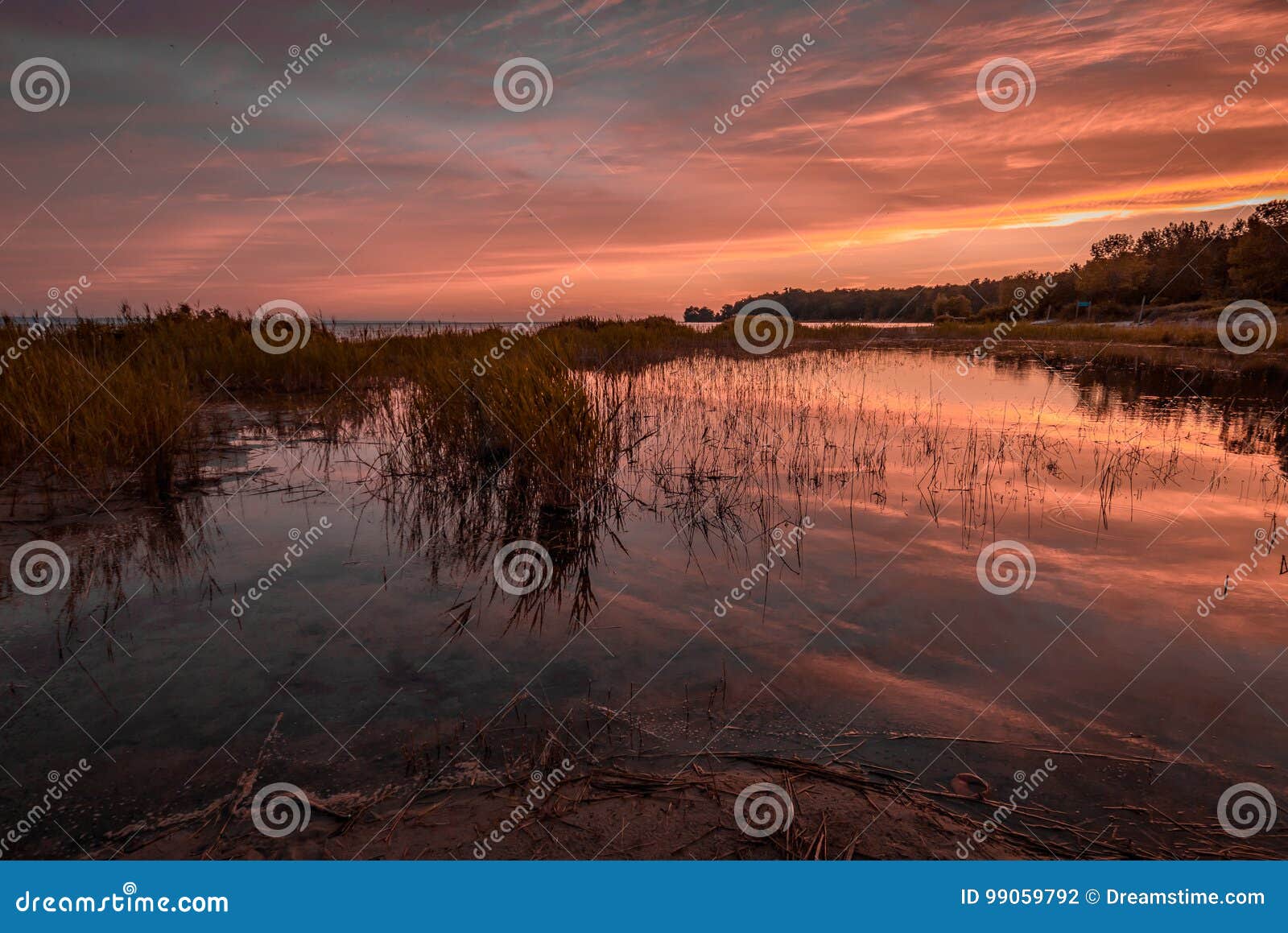 A Sunset Over a Quiet Marsh with the Light Reflecting on the Water ...