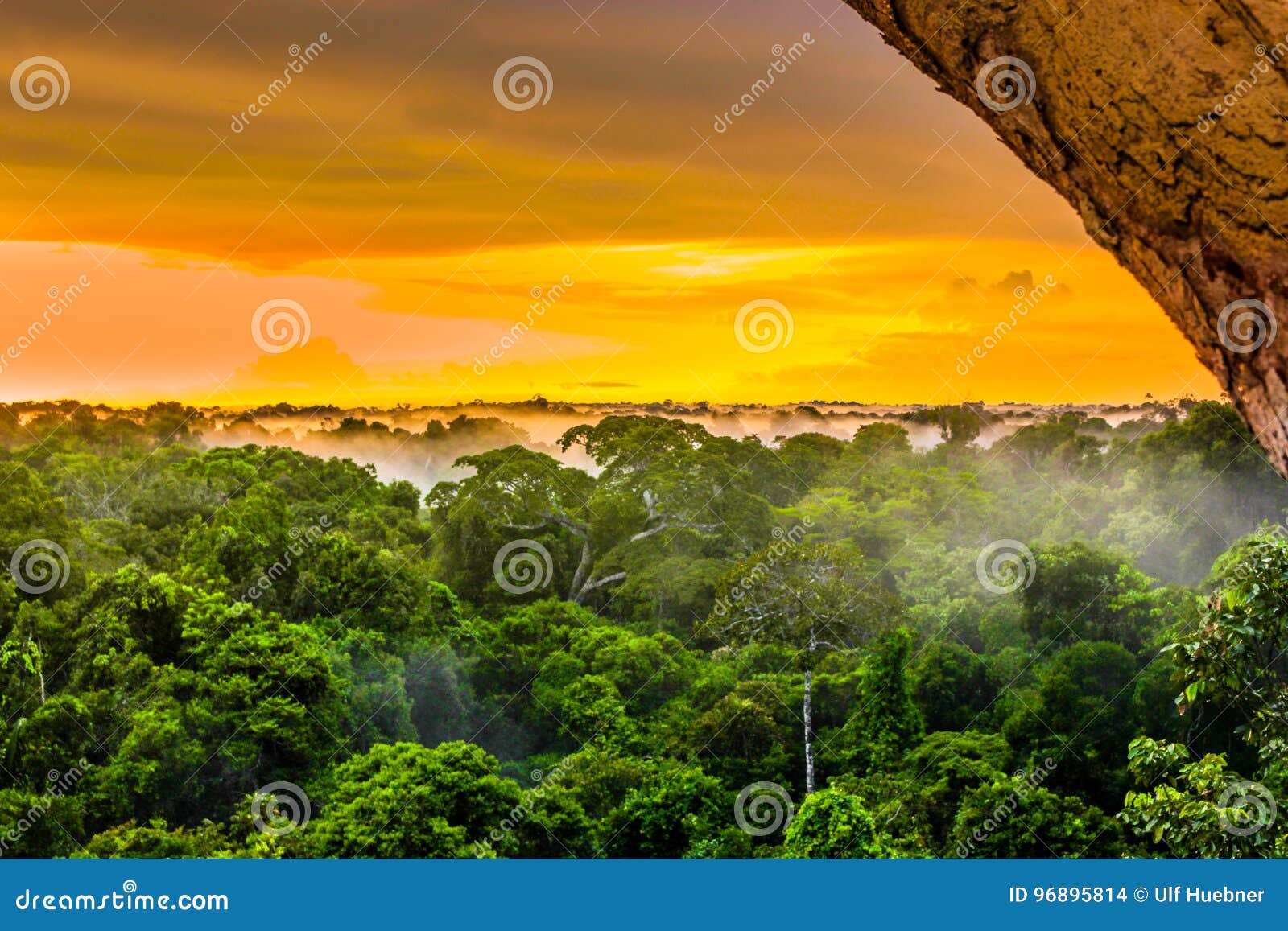 Sunset Over the Rainforest in Brazil Stock Photo - Image of landscape ...
