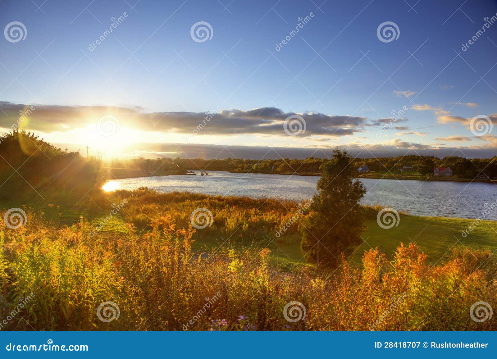 Sunset Over River in Autumn Stock Image - Image of cloudscape, trees ...