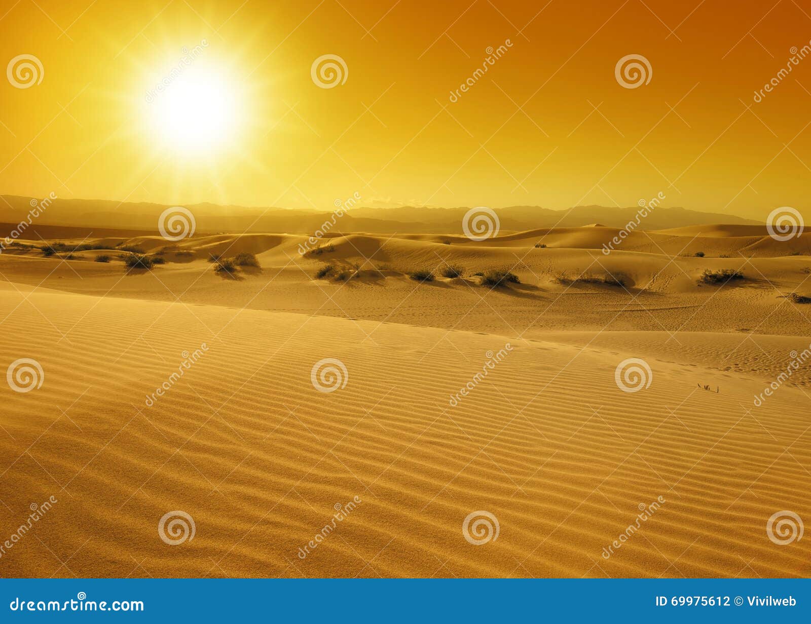 Sunset over the sand dunes stock photo. Image of hill - 69975612