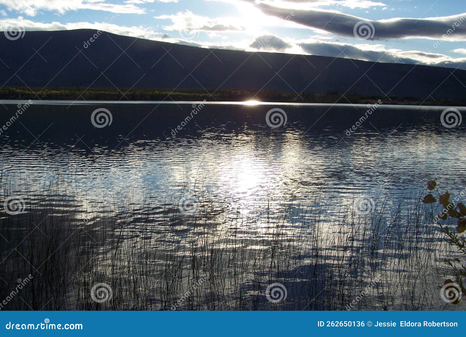 Sunset Over the Shimmering Waters Stock Photo - Image of cloud, designs ...