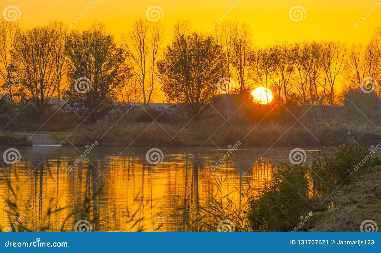 Sunset Over the Shore of a River Along Trees at Fall Stock Image ...