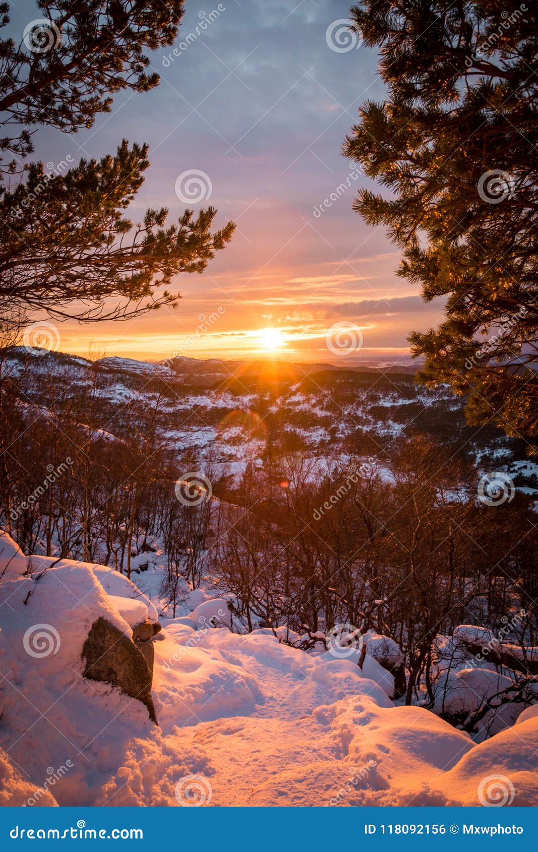 Sunset Over Snow Covered Landscape with Trees Stock Photo - Image of ...