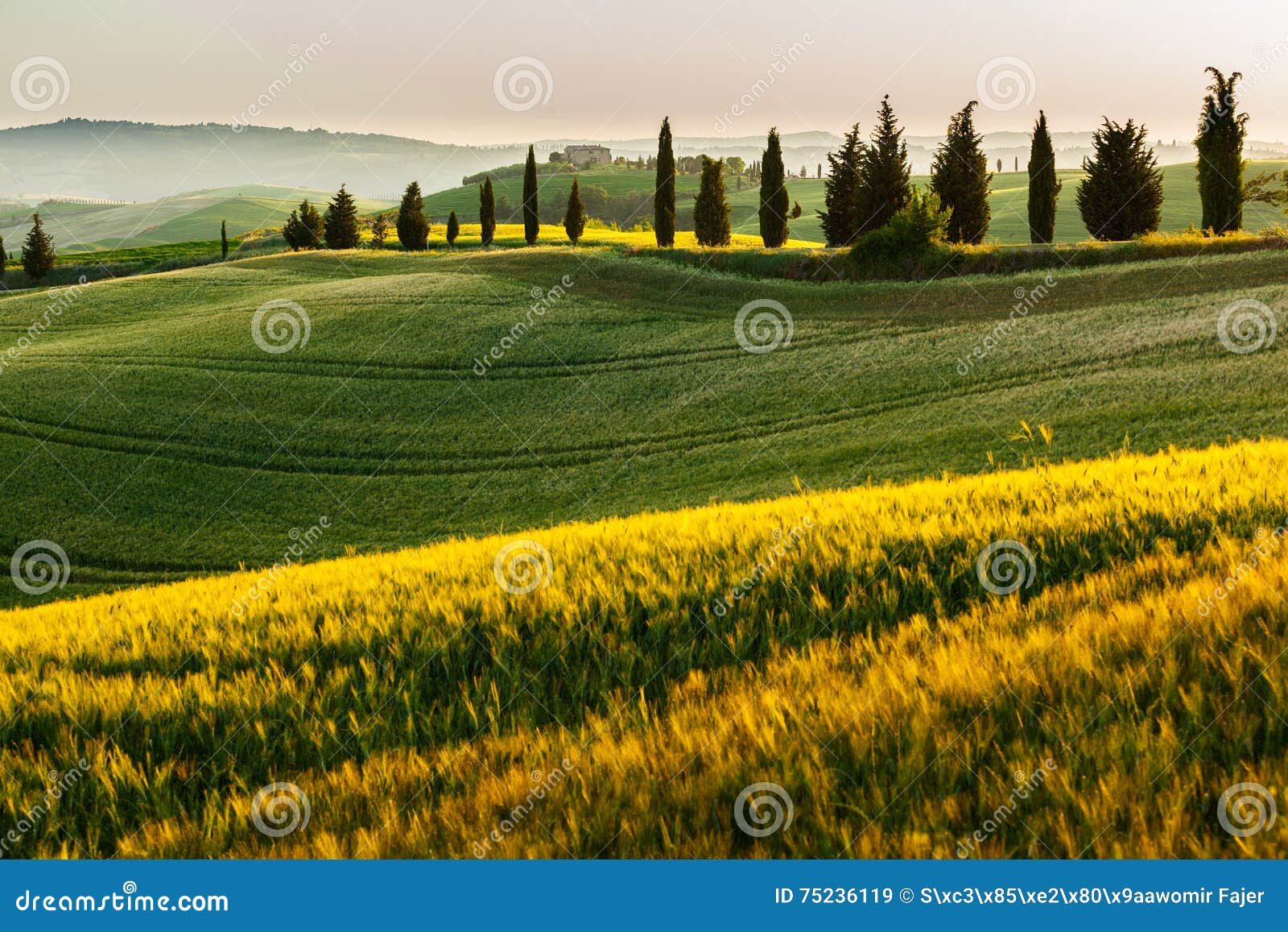Sunset Over a Spring Landscape of Tuscany Fields, Italy Stock Image ...