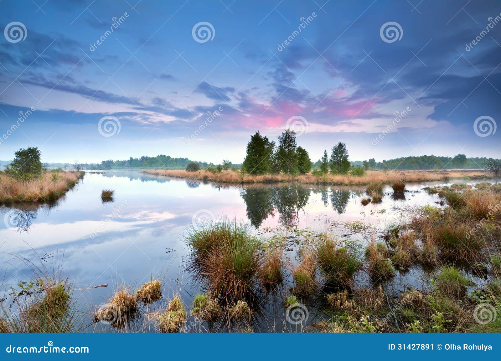 Sunset Over Swamp in Drenthe Stock Image - Image of netherlands, assen ...