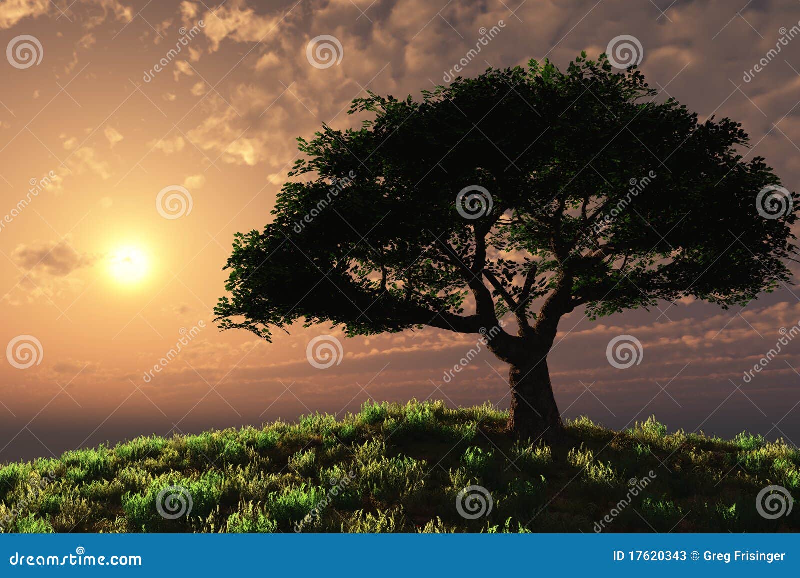 Sunset Over Tree on Hillside Stock Illustration - Illustration of lone ...