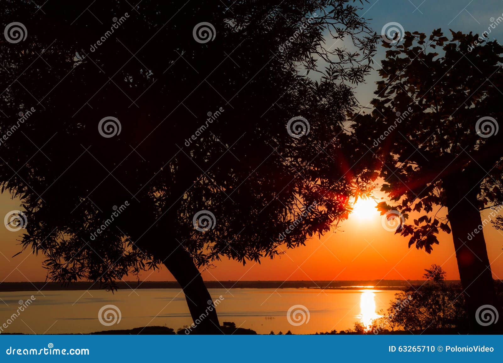Sunset Over a Tree in a Lake Stock Photo - Image of horizon, waves ...