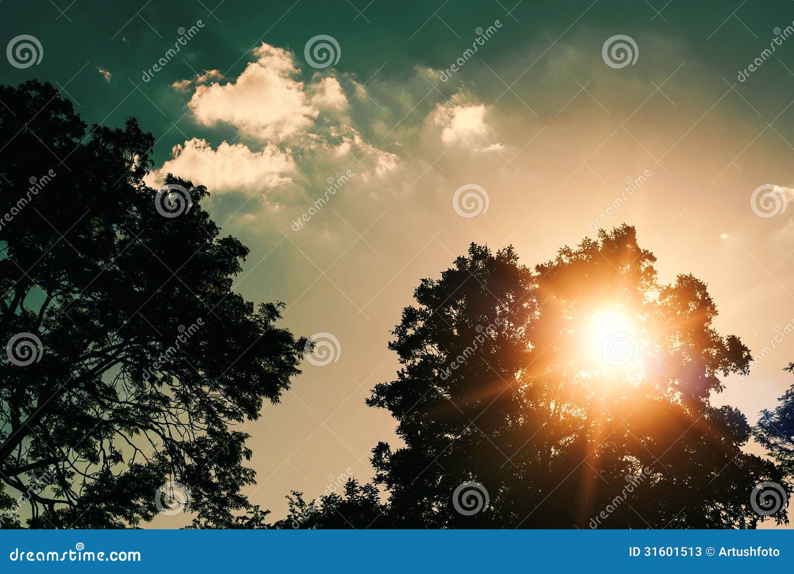 Sunset Over Tree with Sky and Clouds Stock Image - Image of tree ...