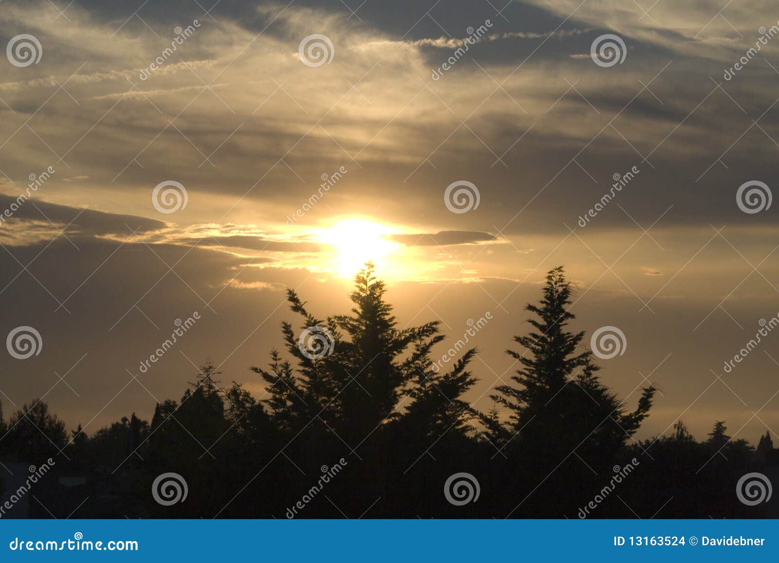 Sunset Over Trees stock photo. Image of sunlight, cirrus - 13163524