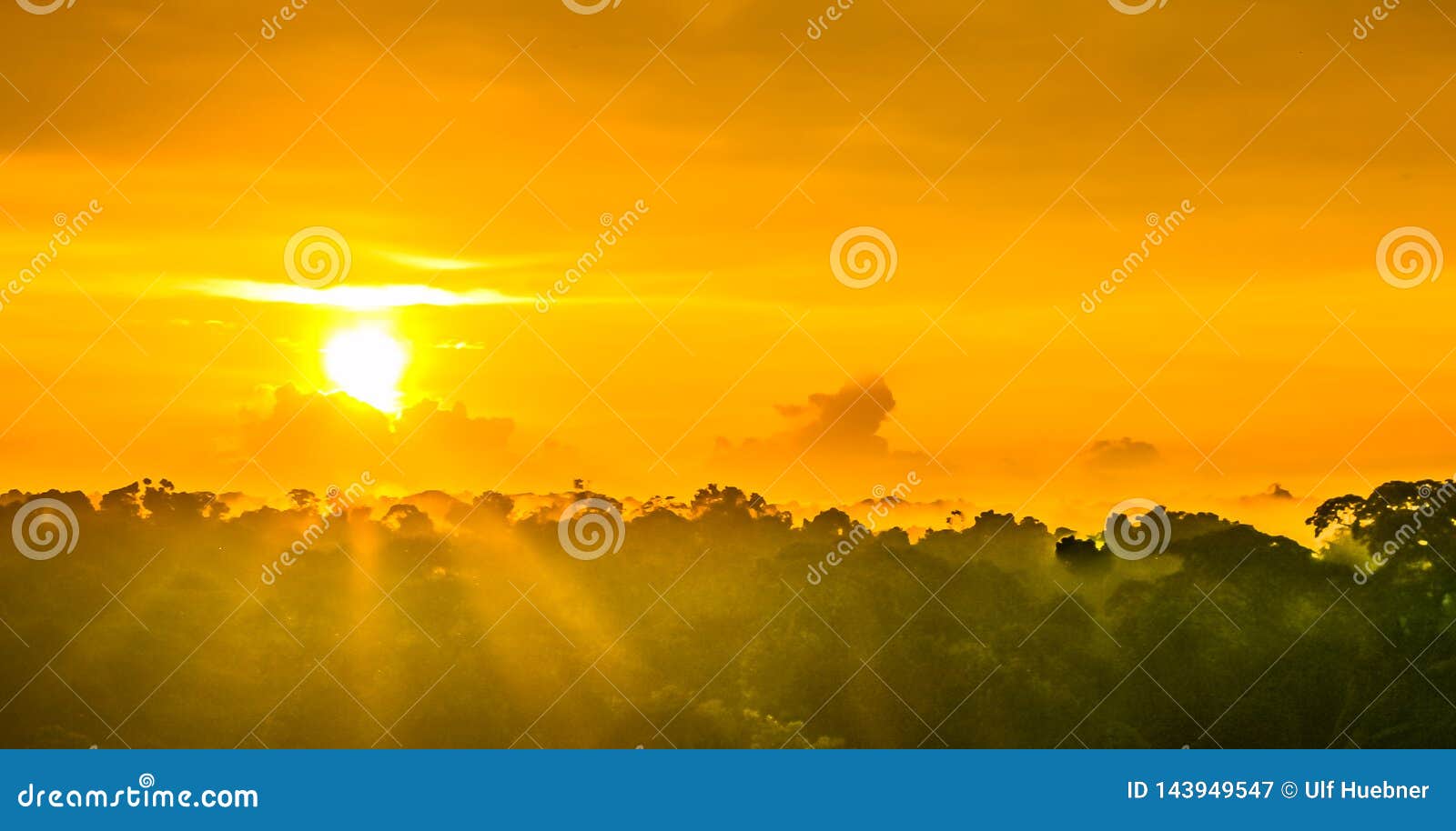 Sunset Over the Trees in the Brazilian Rainforest of Amazonas Stock ...