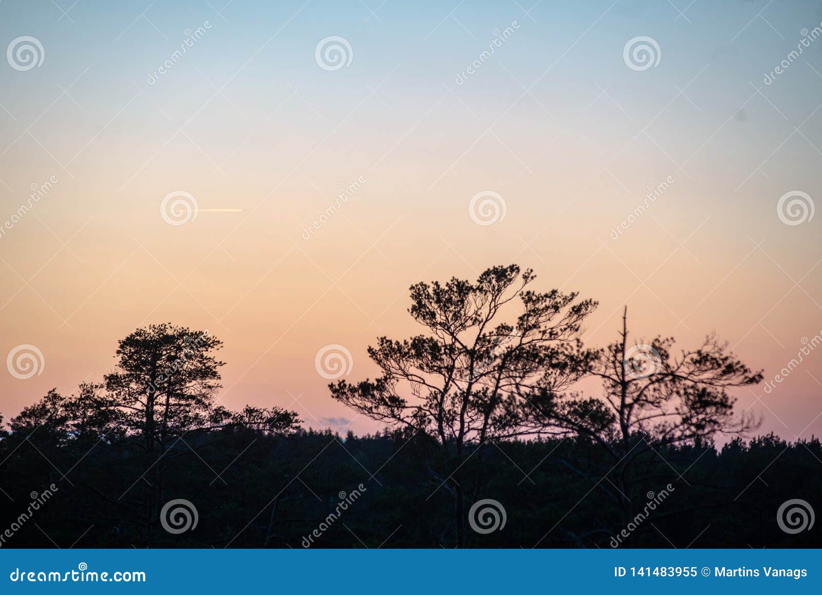 Sunset Over Trees in Forest Stock Image - Image of tree, dramatic ...