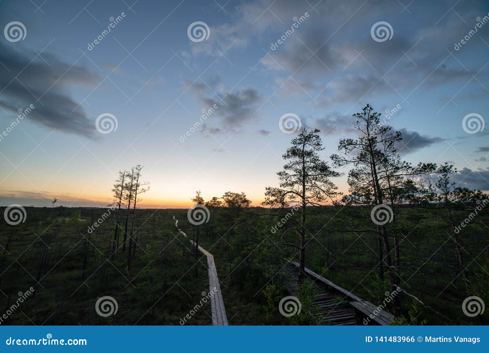 Sunset Over Trees in Forest Stock Photo - Image of rain, person: 141483966