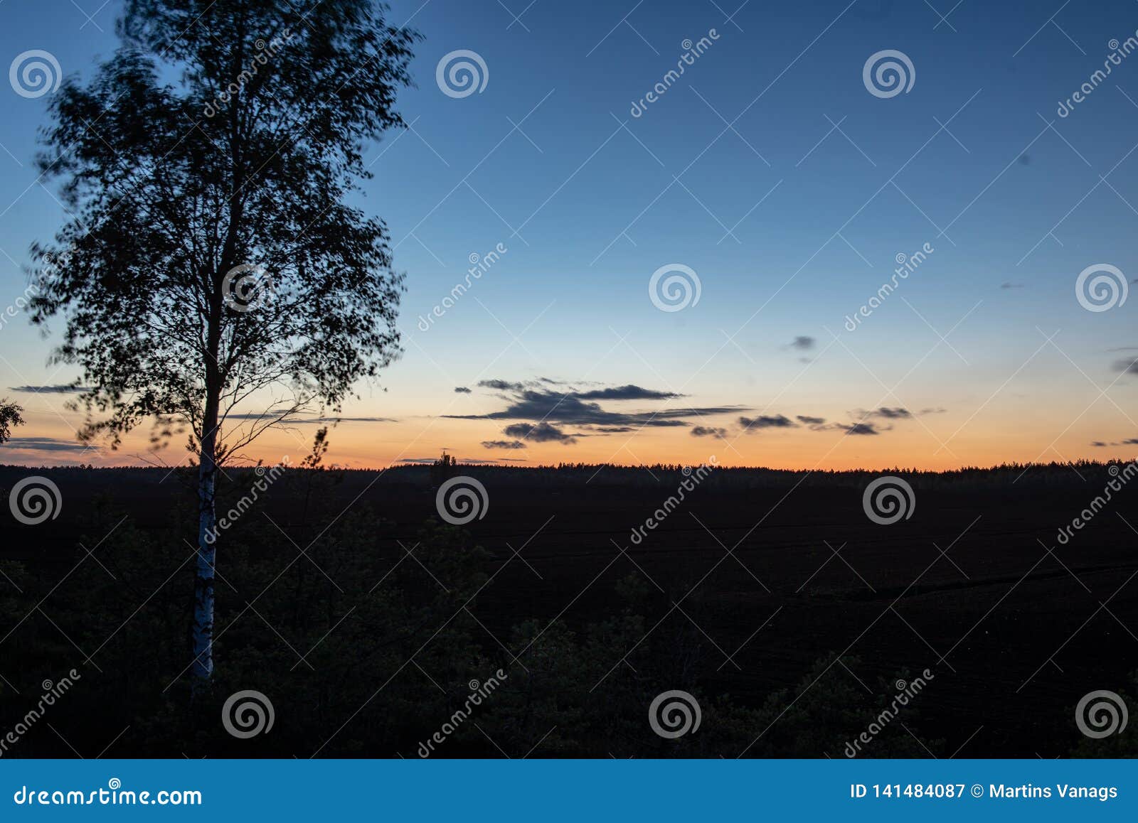 Sunset Over Trees in Forest Stock Image - Image of travel, night: 141484087