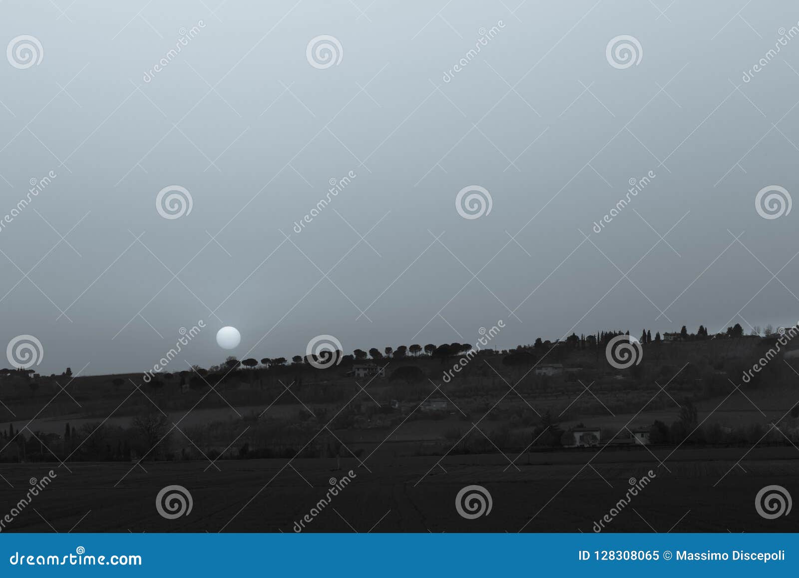 Sunset Over Trees Silhouettes, Filtered through a Cold Filter Stock ...