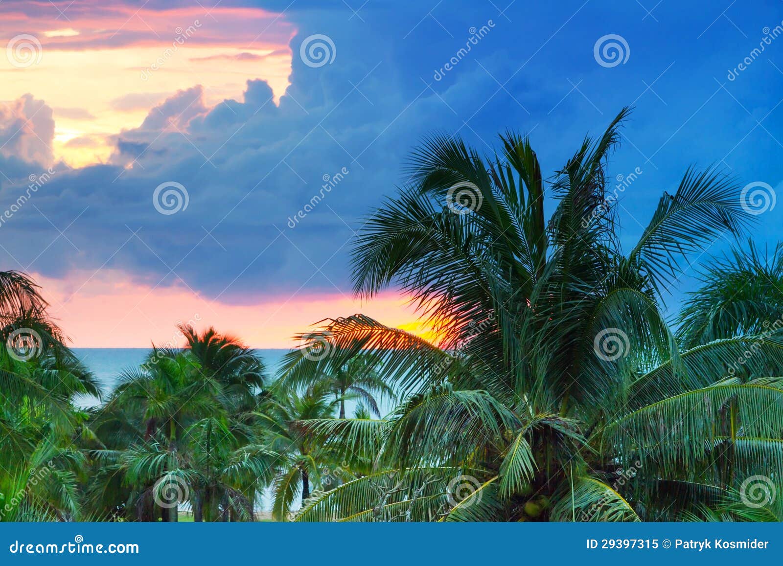 Sunset Over Tropical Palm Trees Stock Image - Image of landscape, fire ...