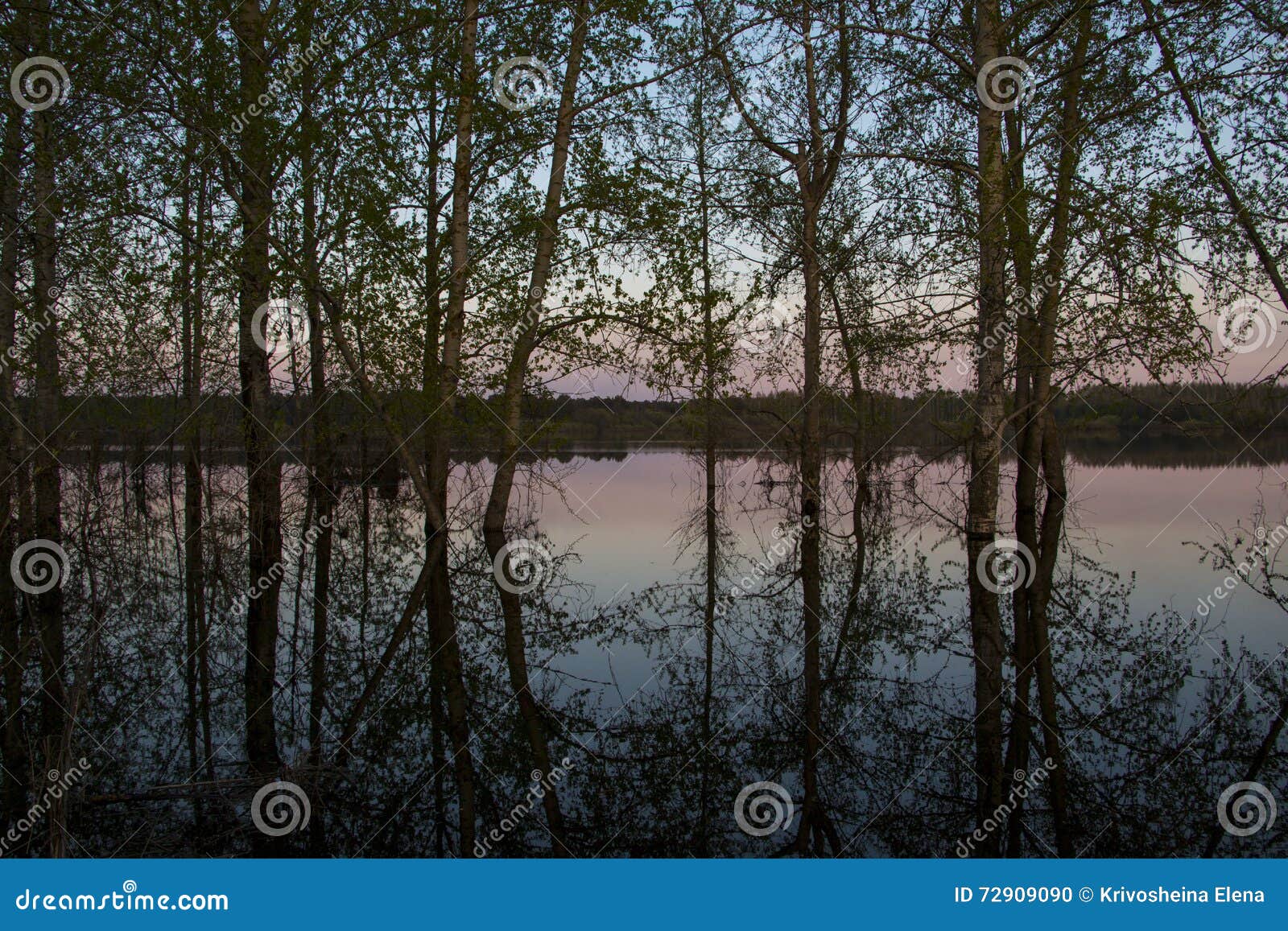 Sunset Over Water and Trees Stock Photo - Image of circle, sparkle ...