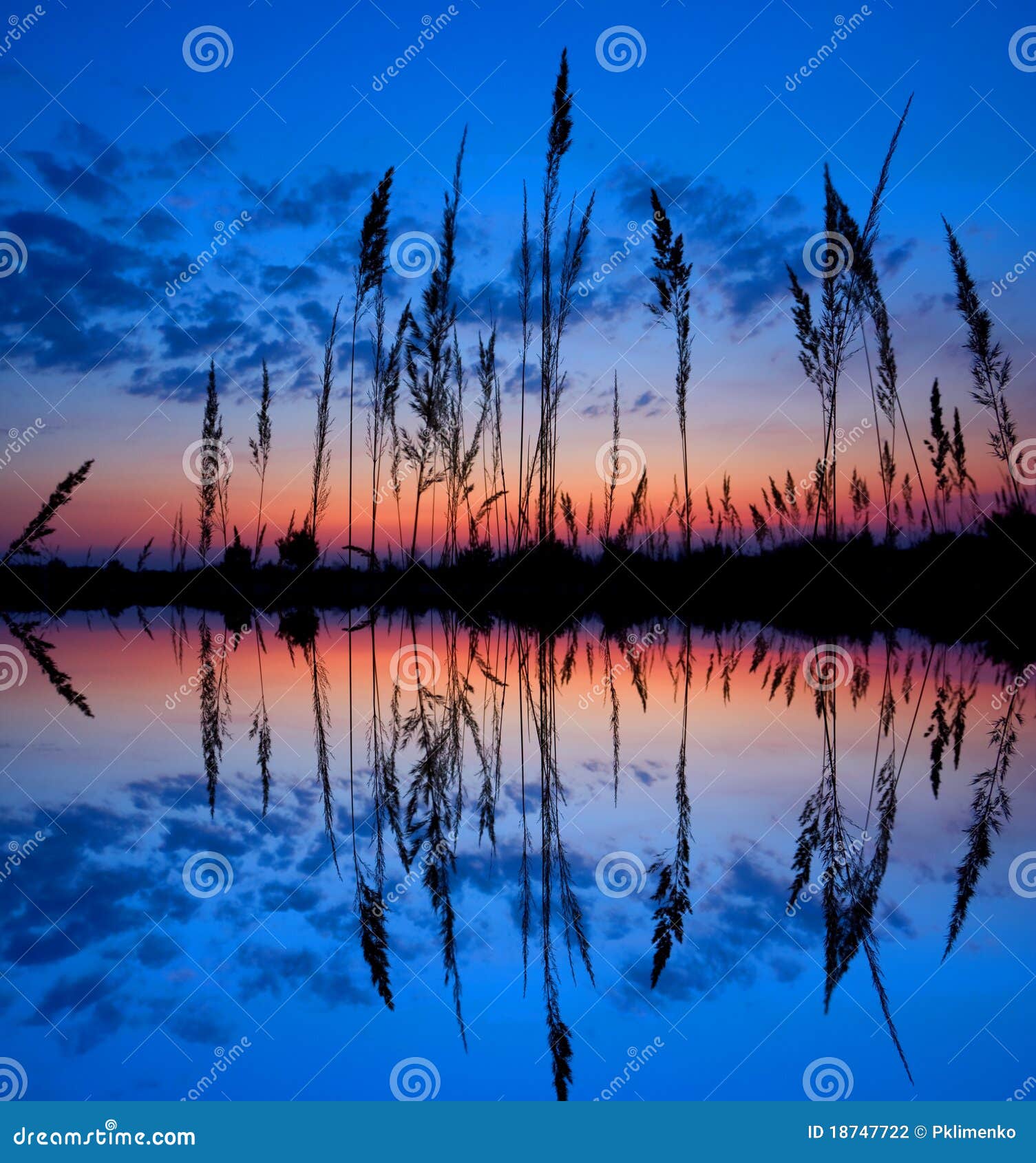 Sunset over a wetland stock photo. Image of landscape - 18747722