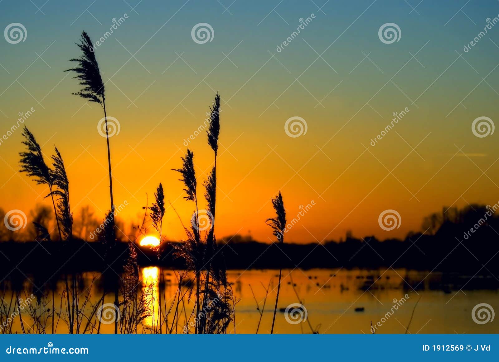 Sunset over wetland stock image. Image of morning, evening - 1912569