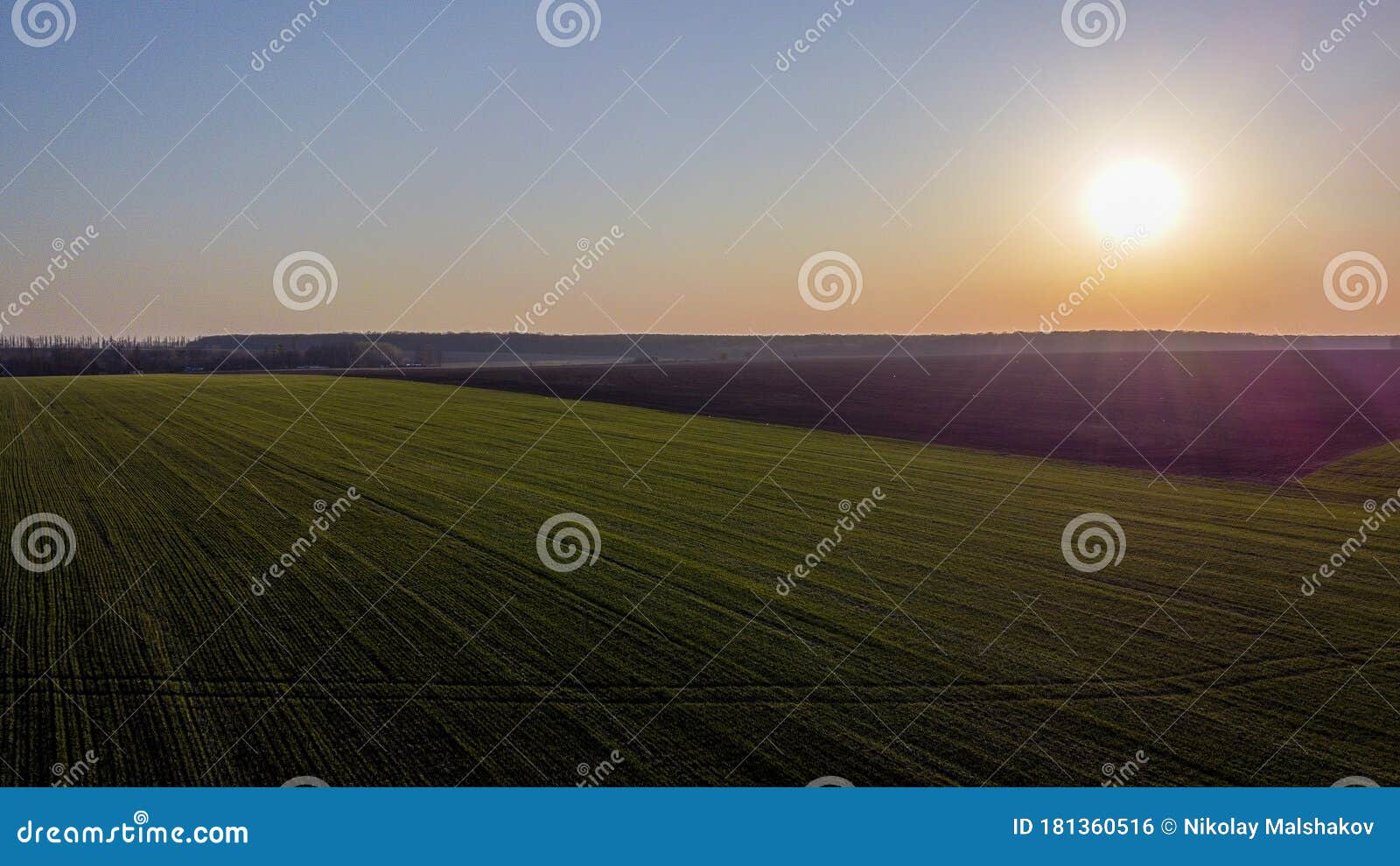 Sunset Over Wheat Crops and Cultivated Fields To Crops Stock Photo ...