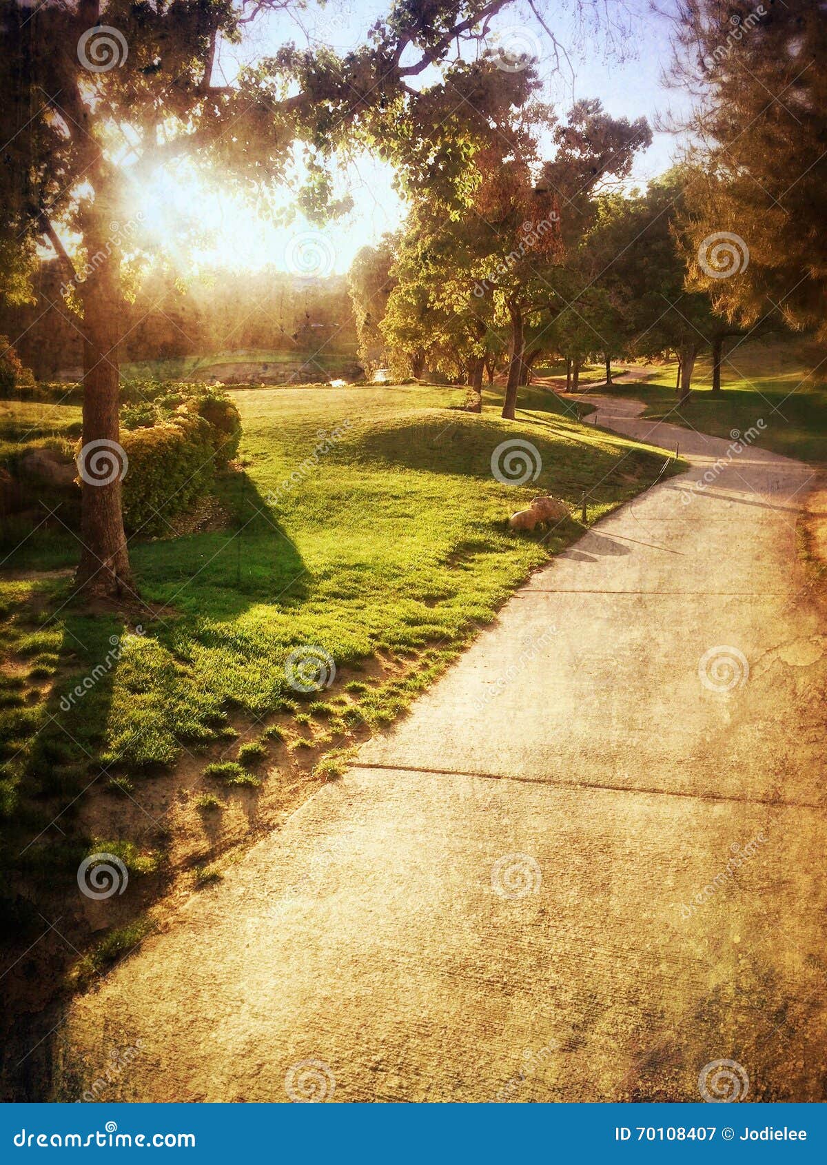 Sunset over winding path stock image. Image of morning - 70108407