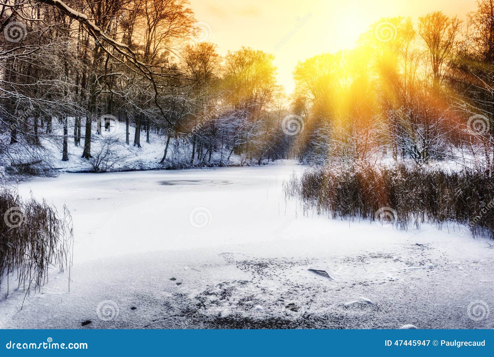 Sunset Over Winter Forest Lake Stock Image - Image of magic, orange ...