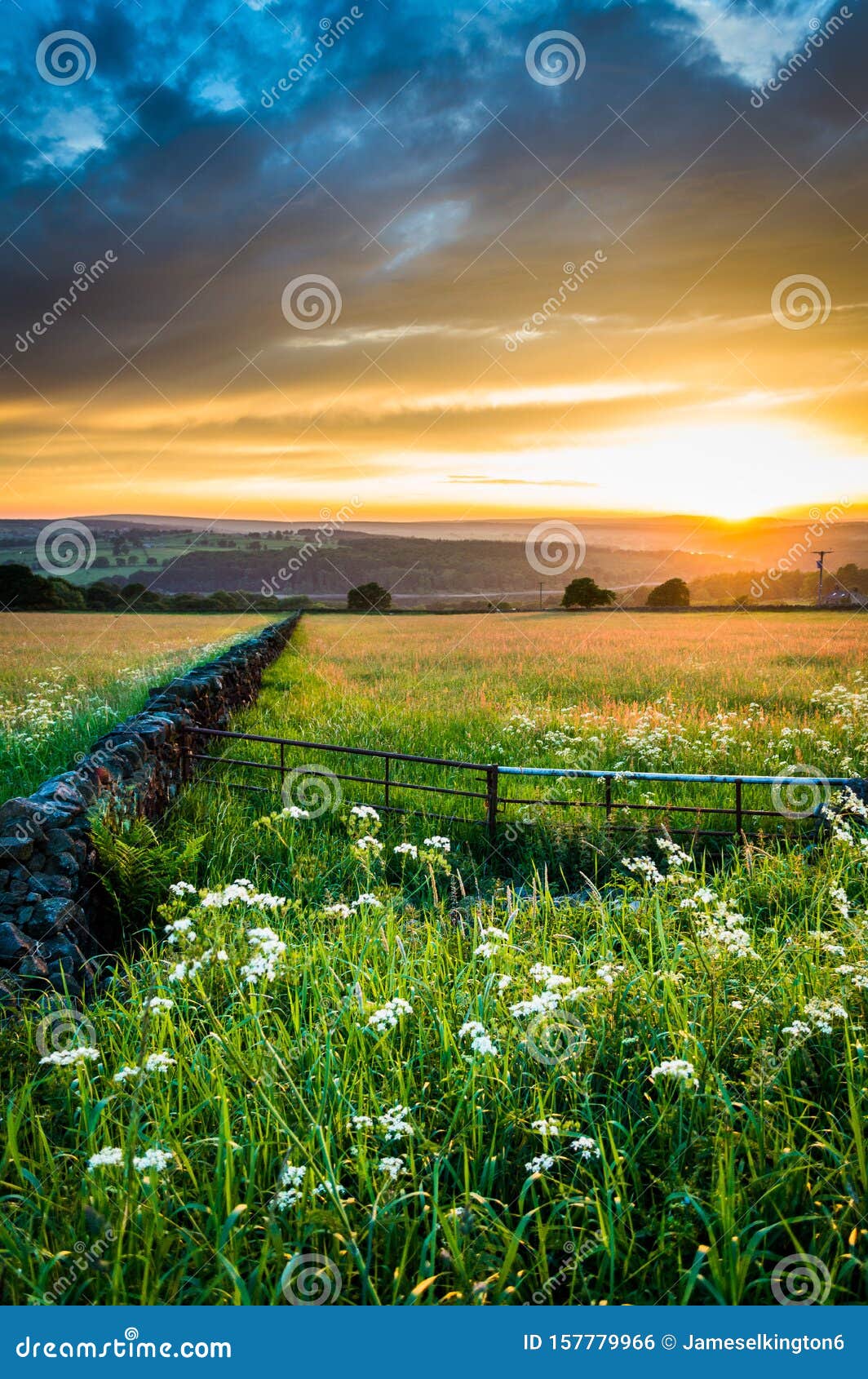 Sunset Over the Yorkshire Meadows Stock Photo - Image of grass ...