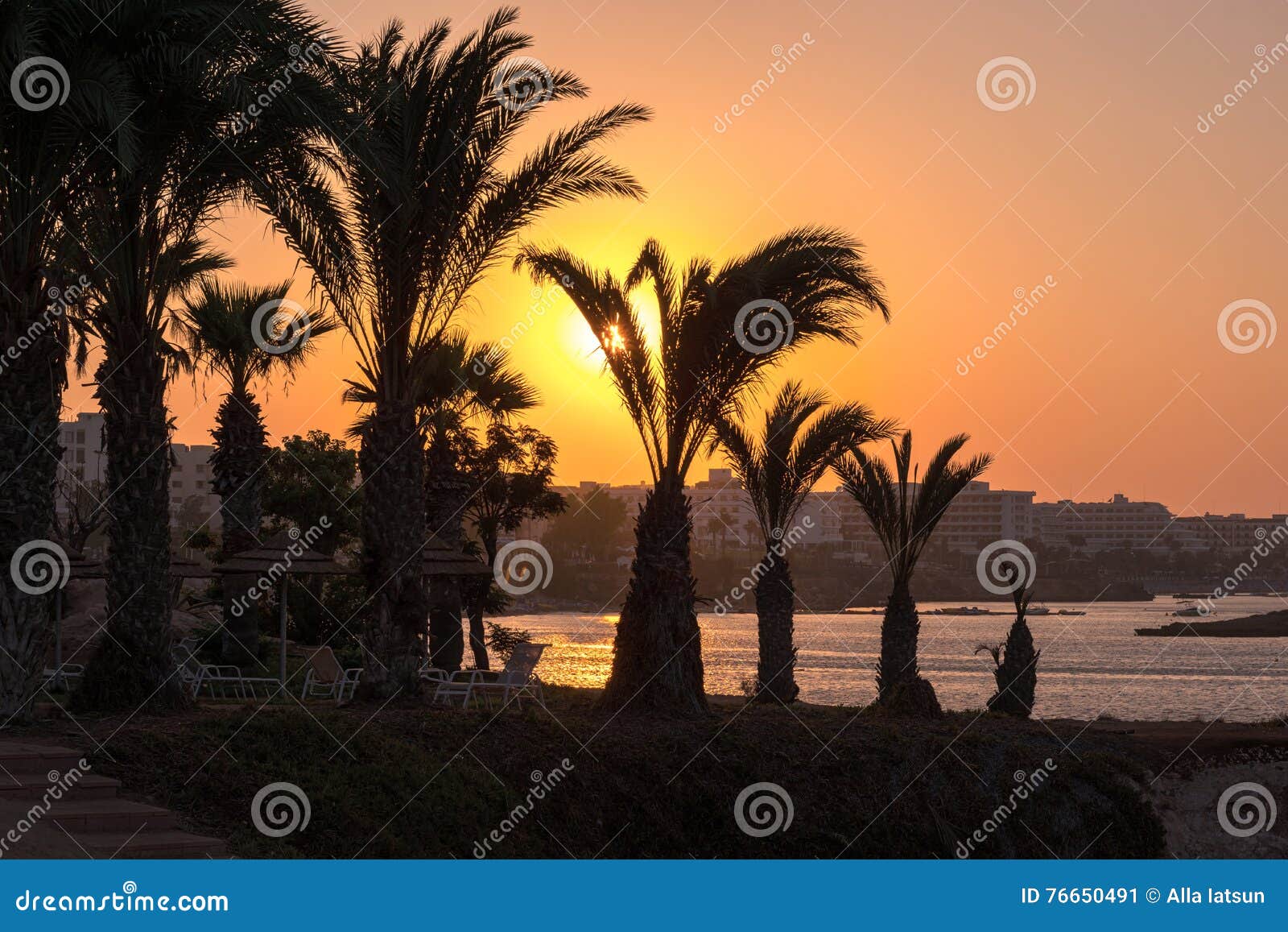 Sunset Overlooking the Sea and the Beach with Palm Trees. Stock Image ...
