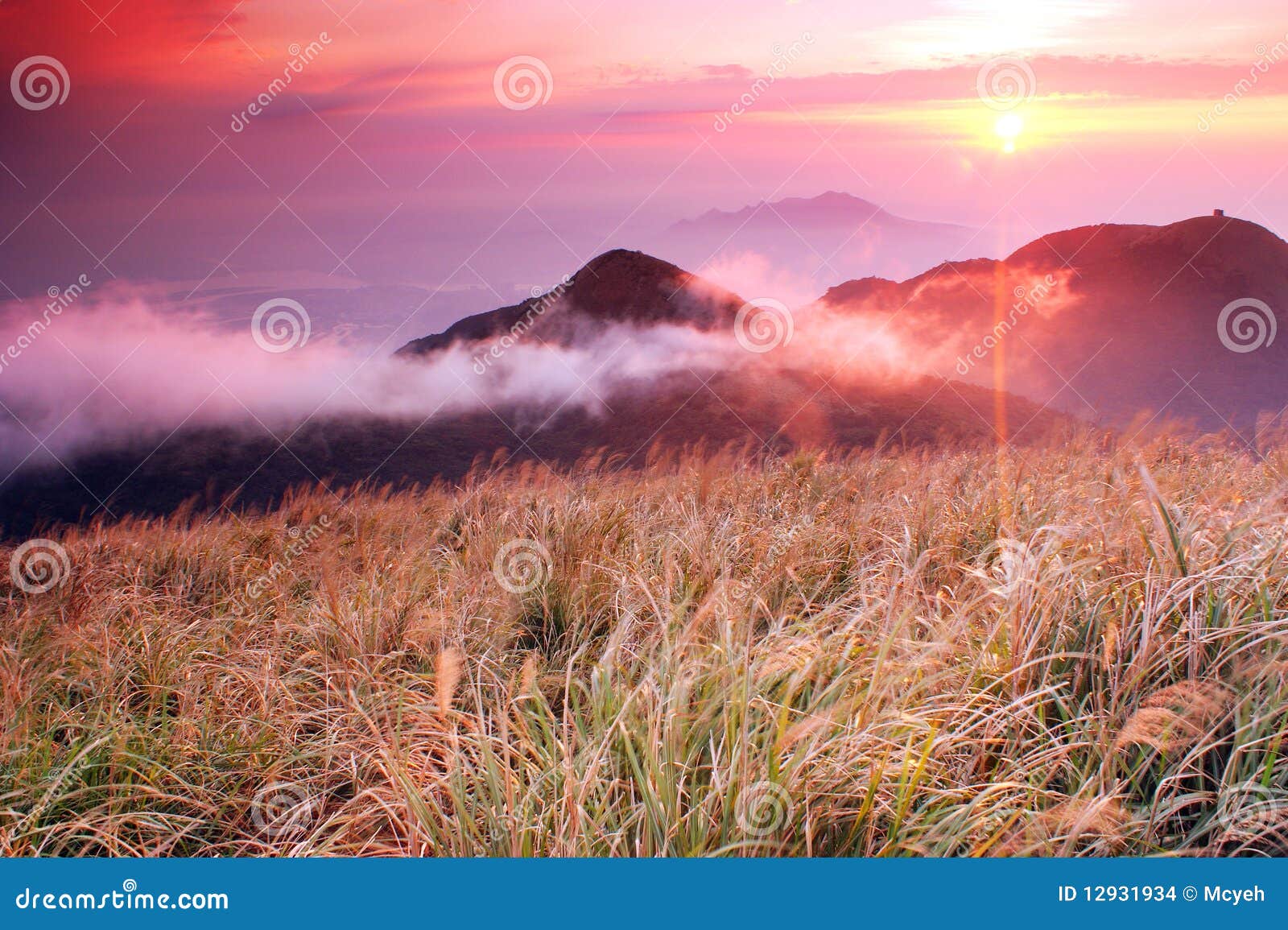 Sunset Oveture on Mt. Datun Stock Photo - Image of flower, taipei: 12931934