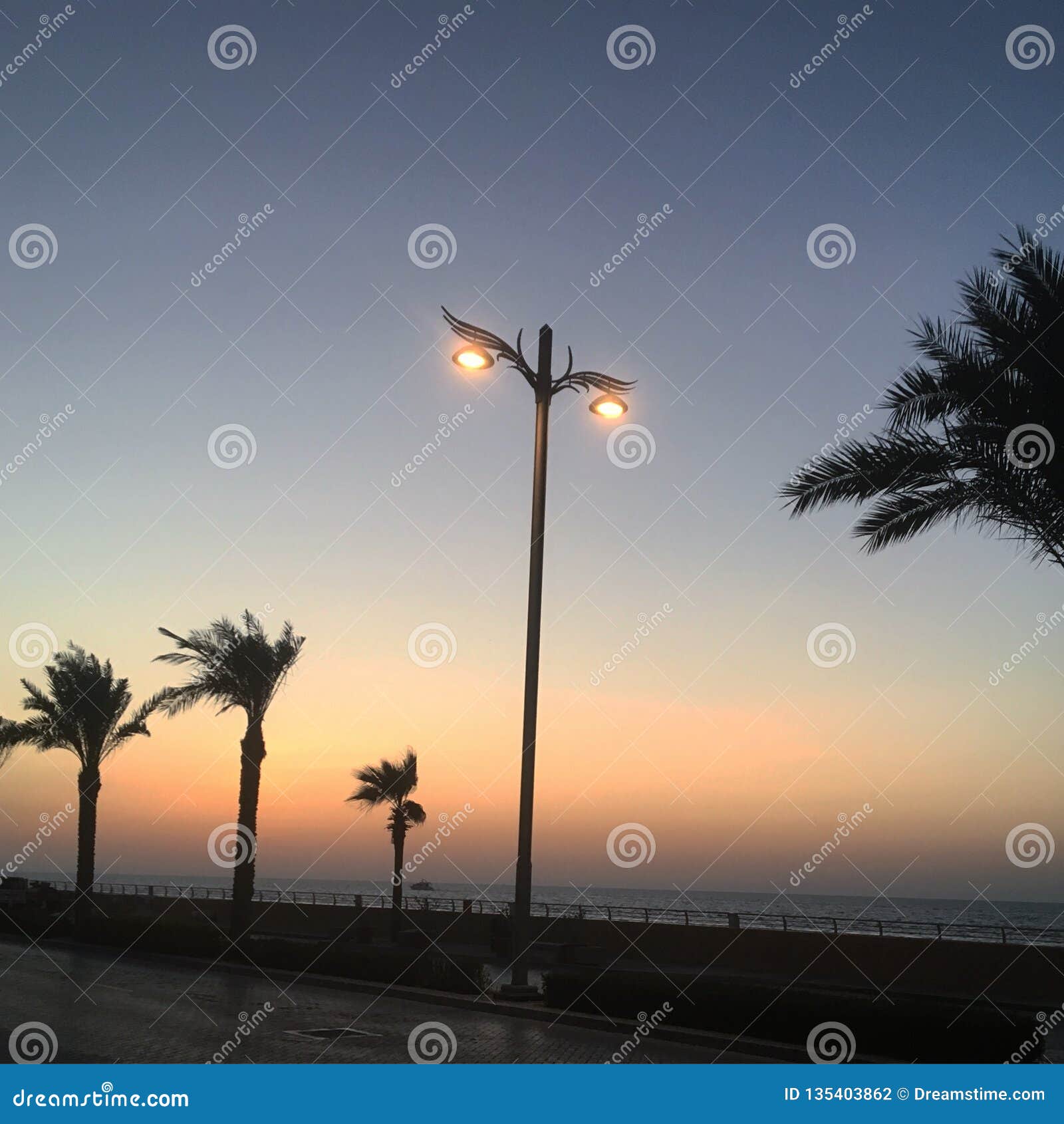 Palm trees stock photo. Image of palm, sunset, jumeirah - 135403862