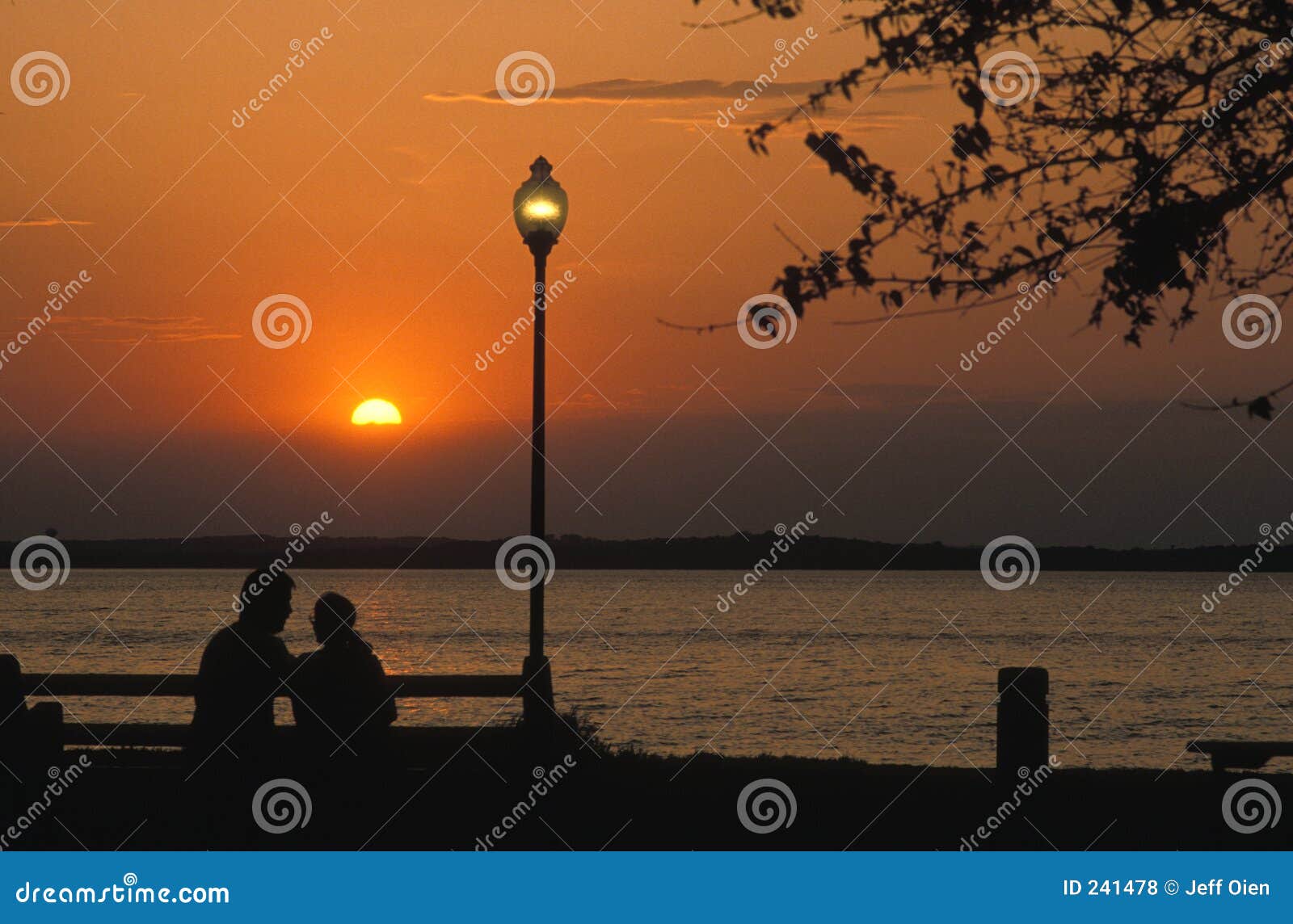 Sunset at the Park stock photo. Image of couple, tree, park - 241478